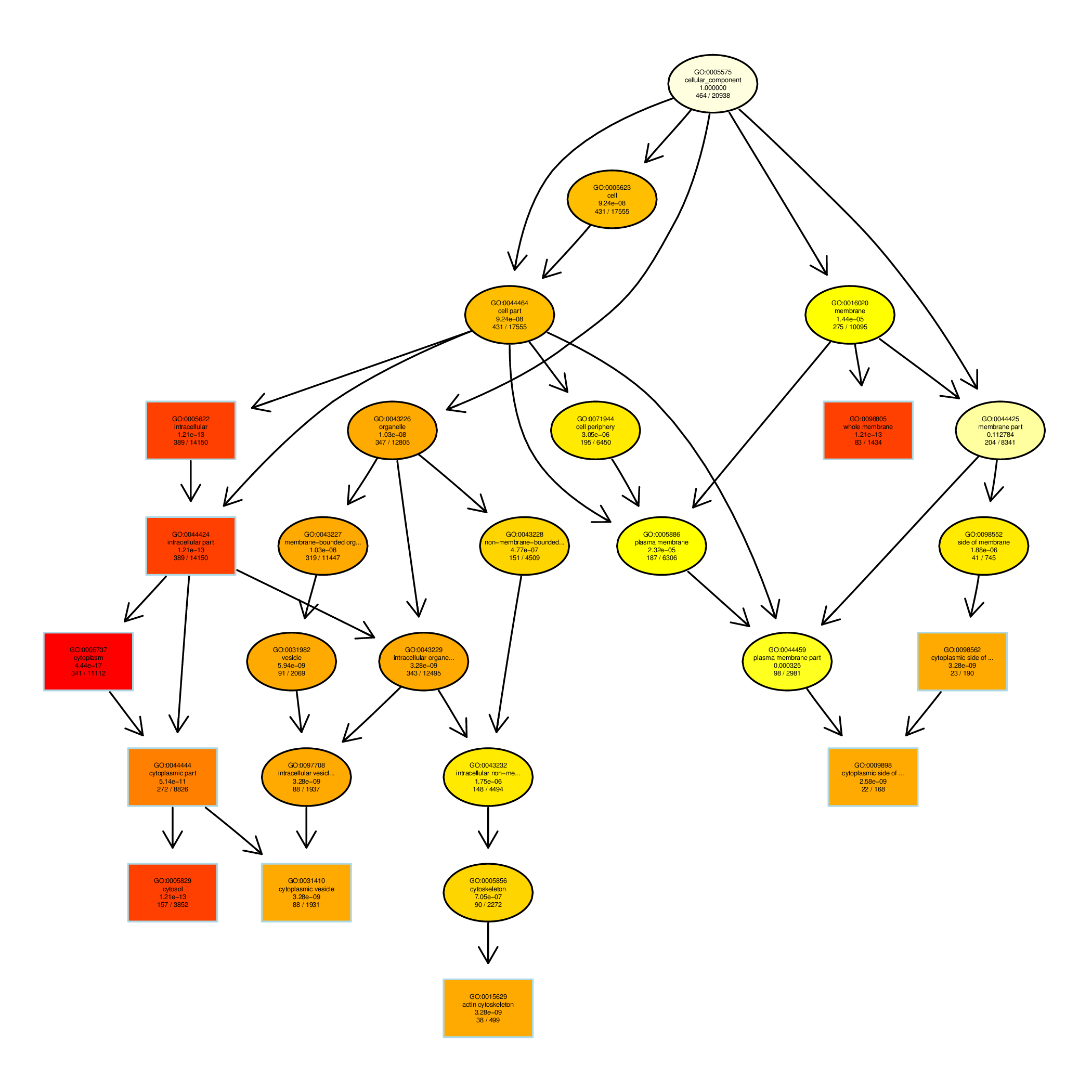 GO Enrichment Analysis