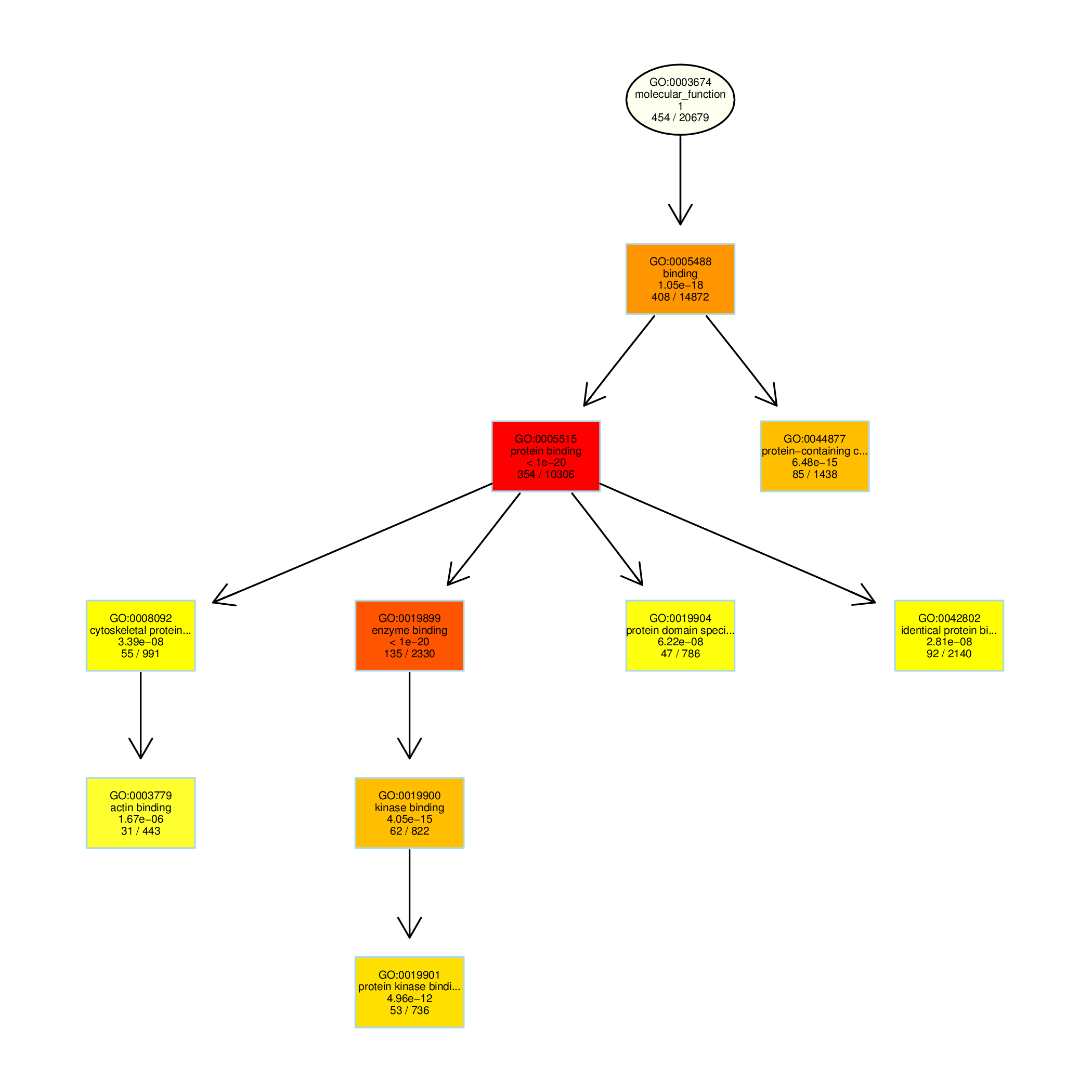 GO Enrichment Analysis