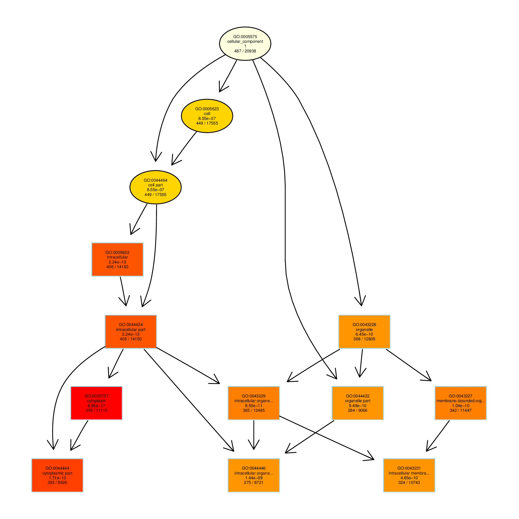 GO Enrichment Analysis