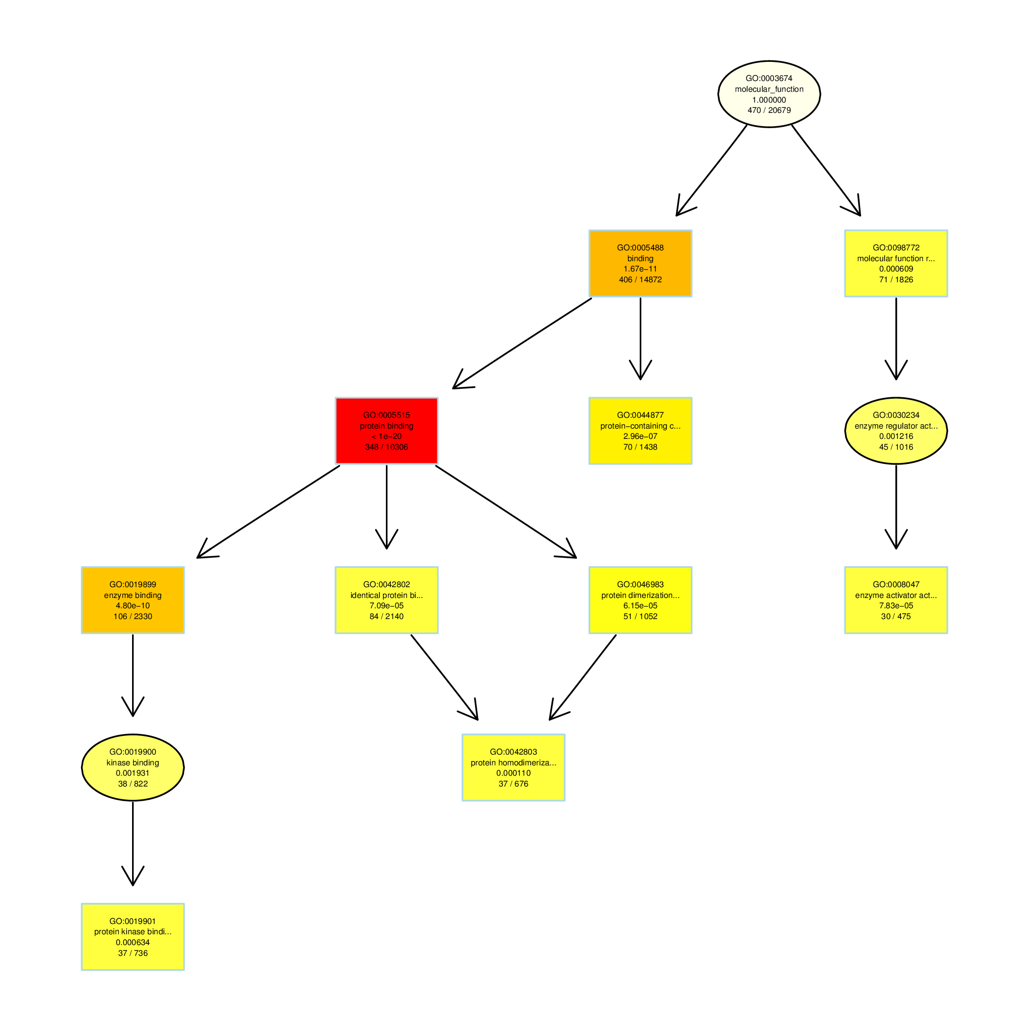 GO Enrichment Analysis