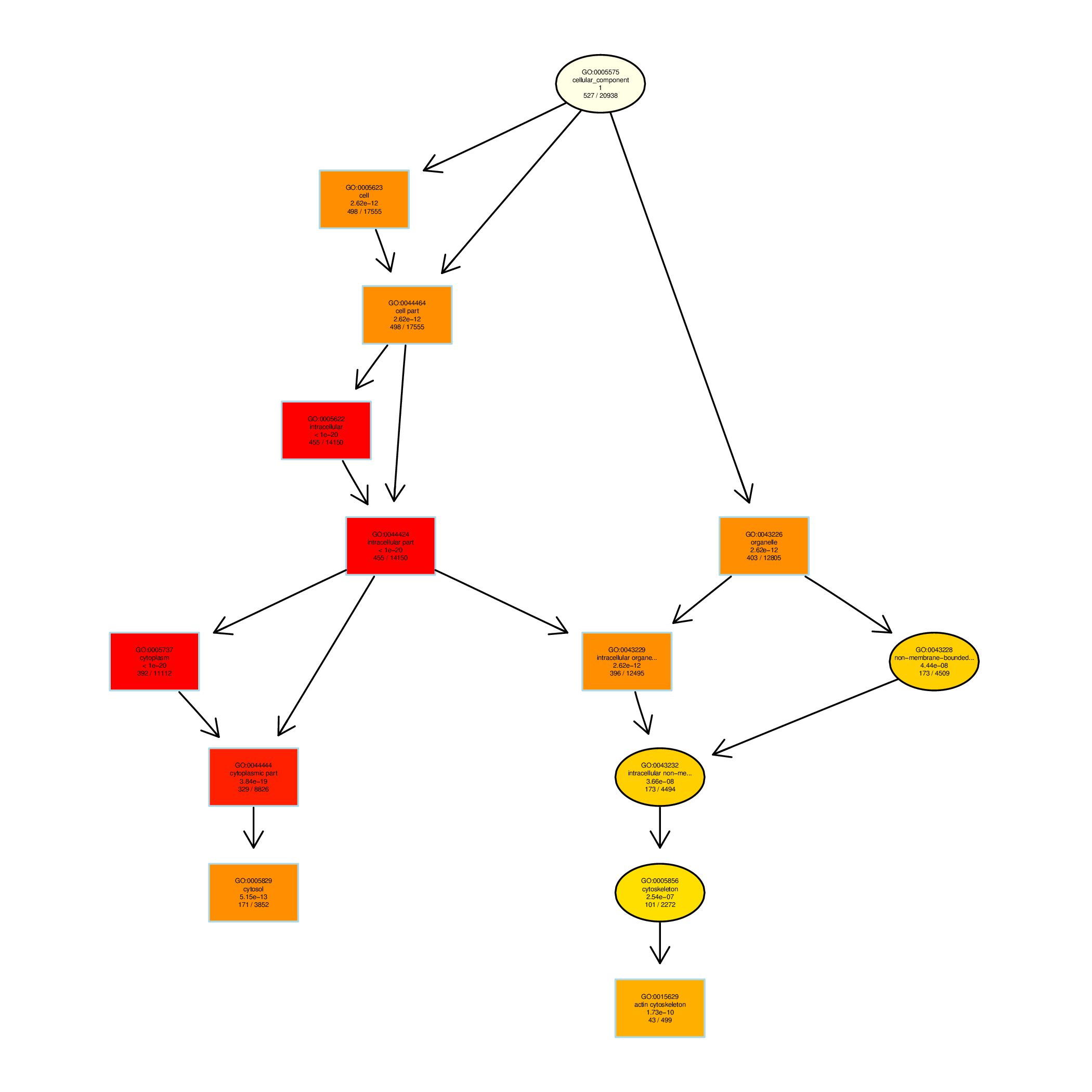 GO Enrichment Analysis