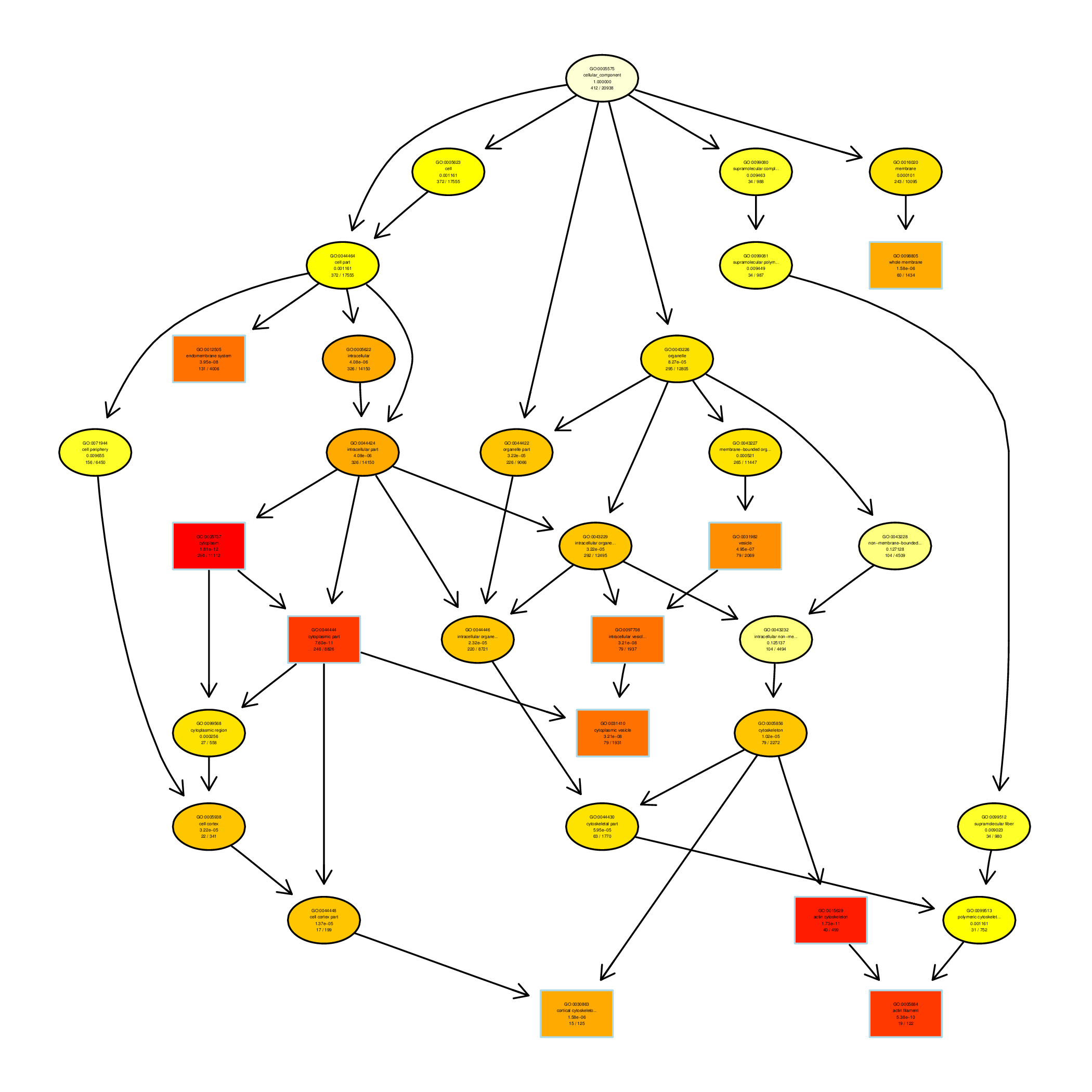 GO Enrichment Analysis