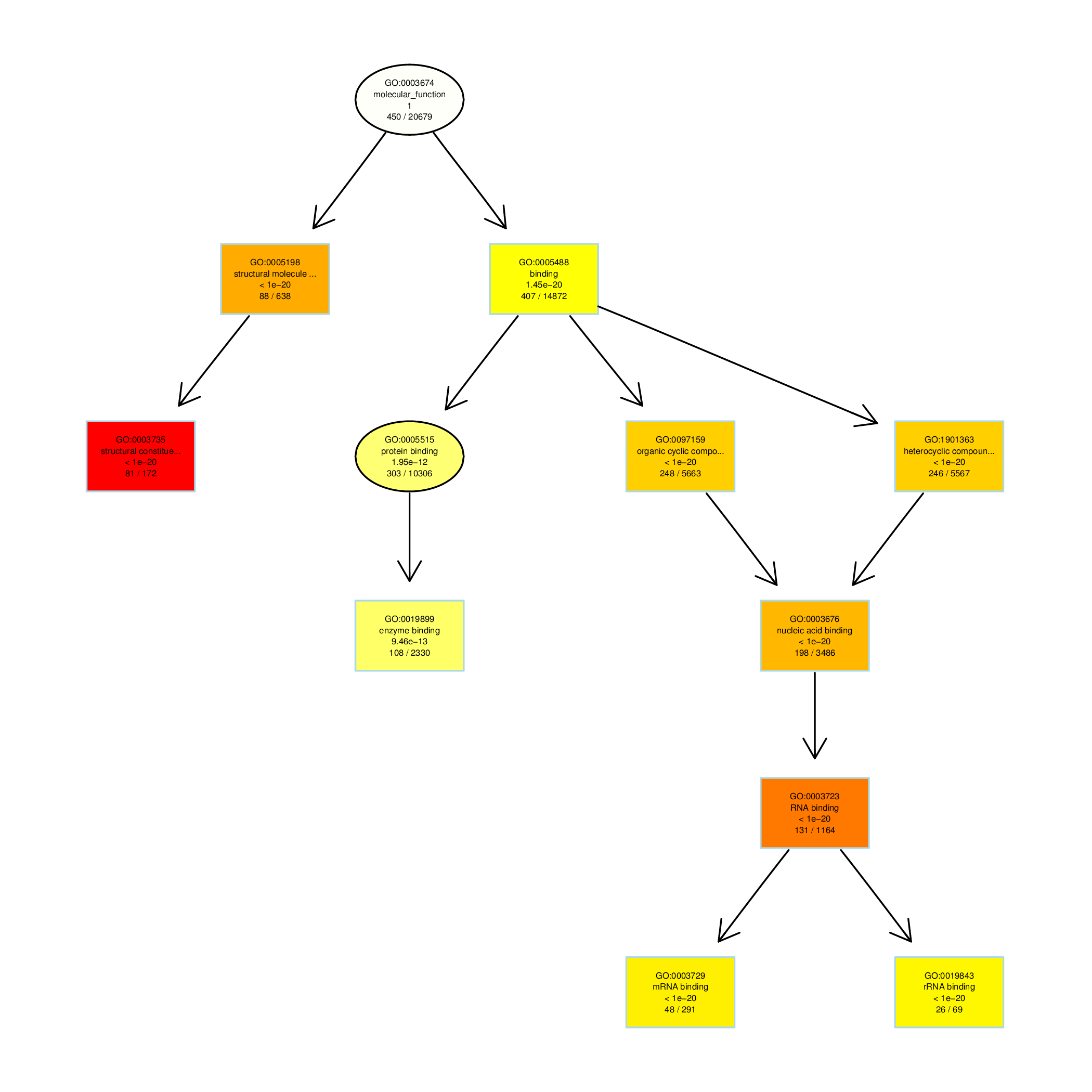 GO Enrichment Analysis