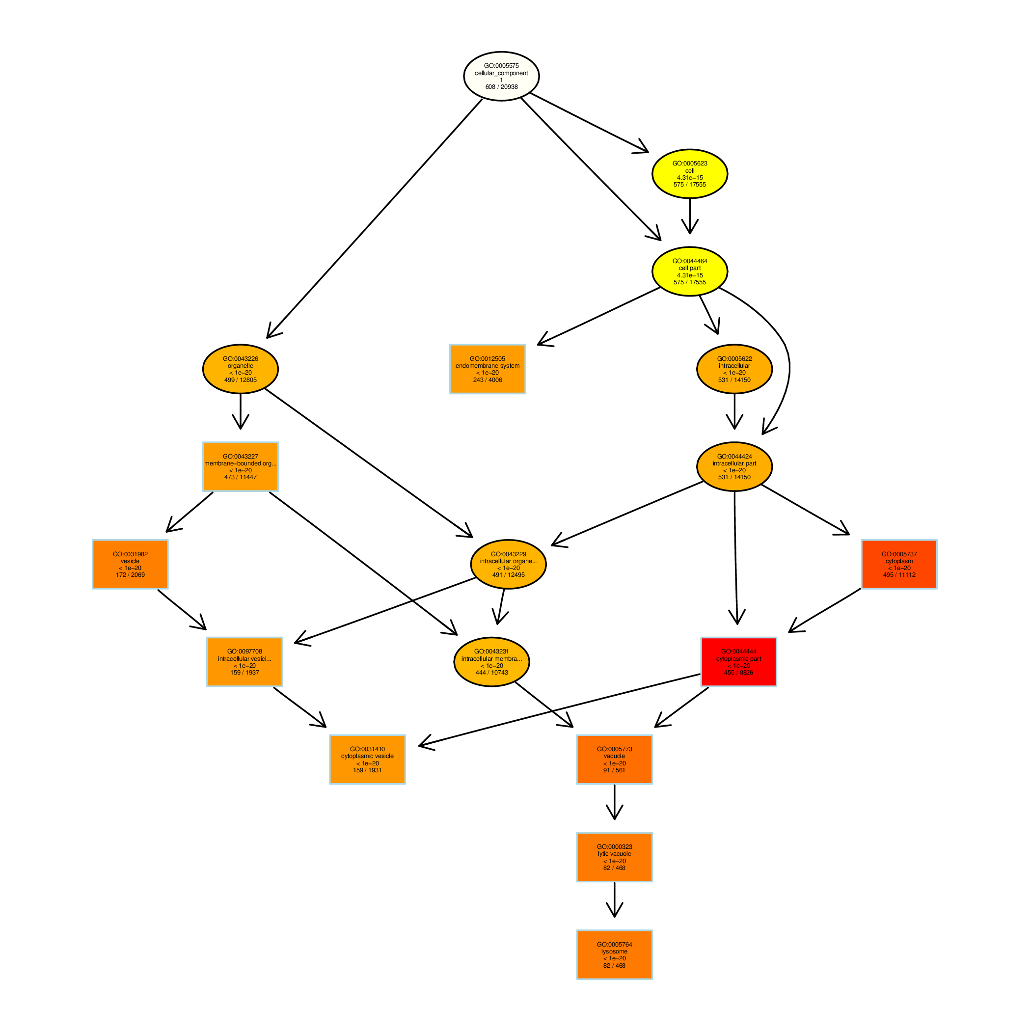 GO Enrichment Analysis