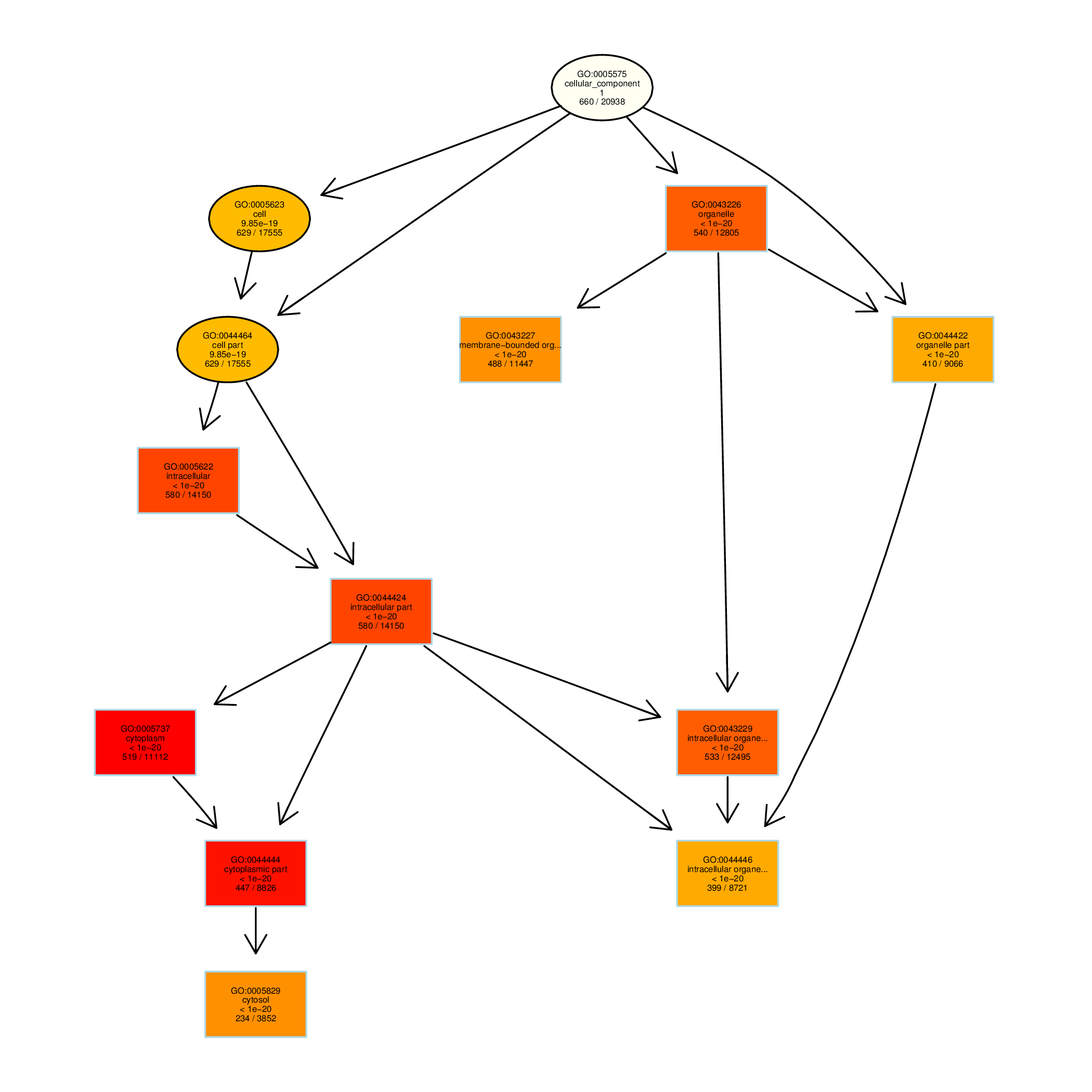 GO Enrichment Analysis