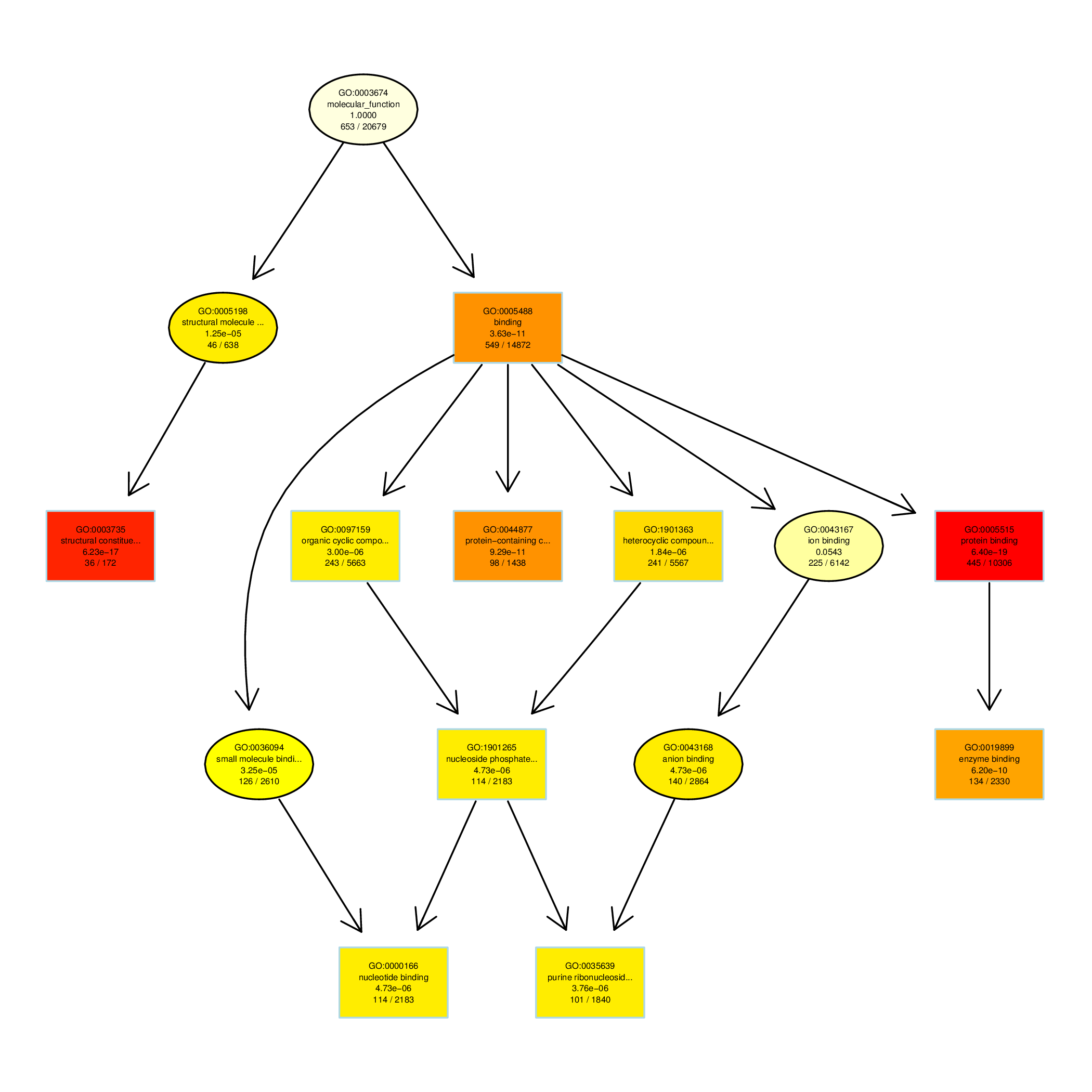 GO Enrichment Analysis