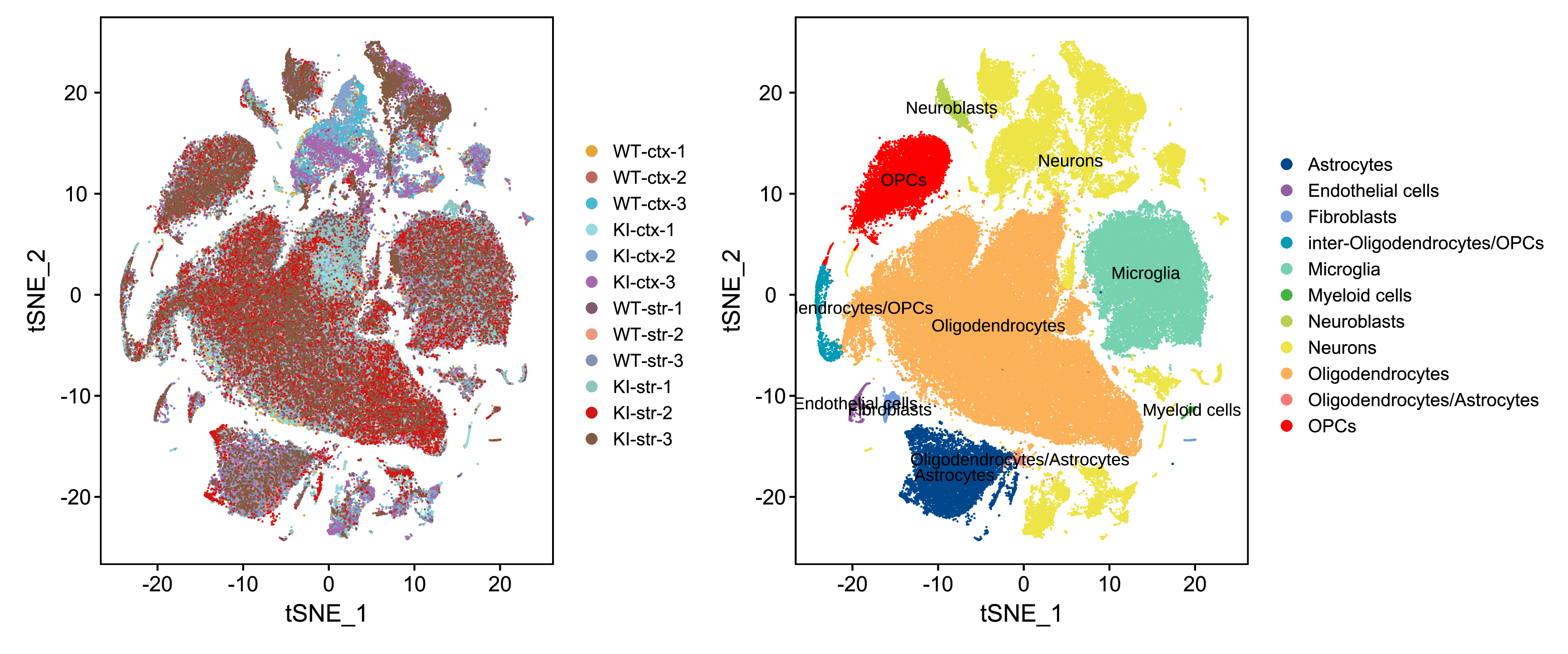 基迪奥生物 结题报告