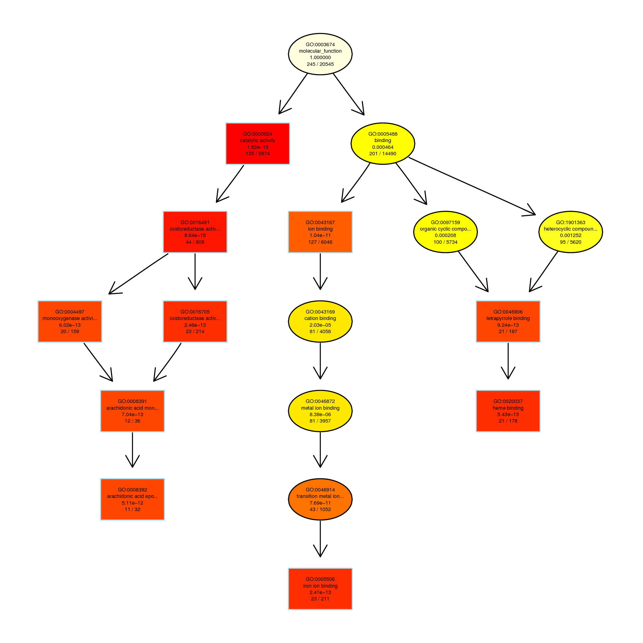 GO Enrichment Analysis