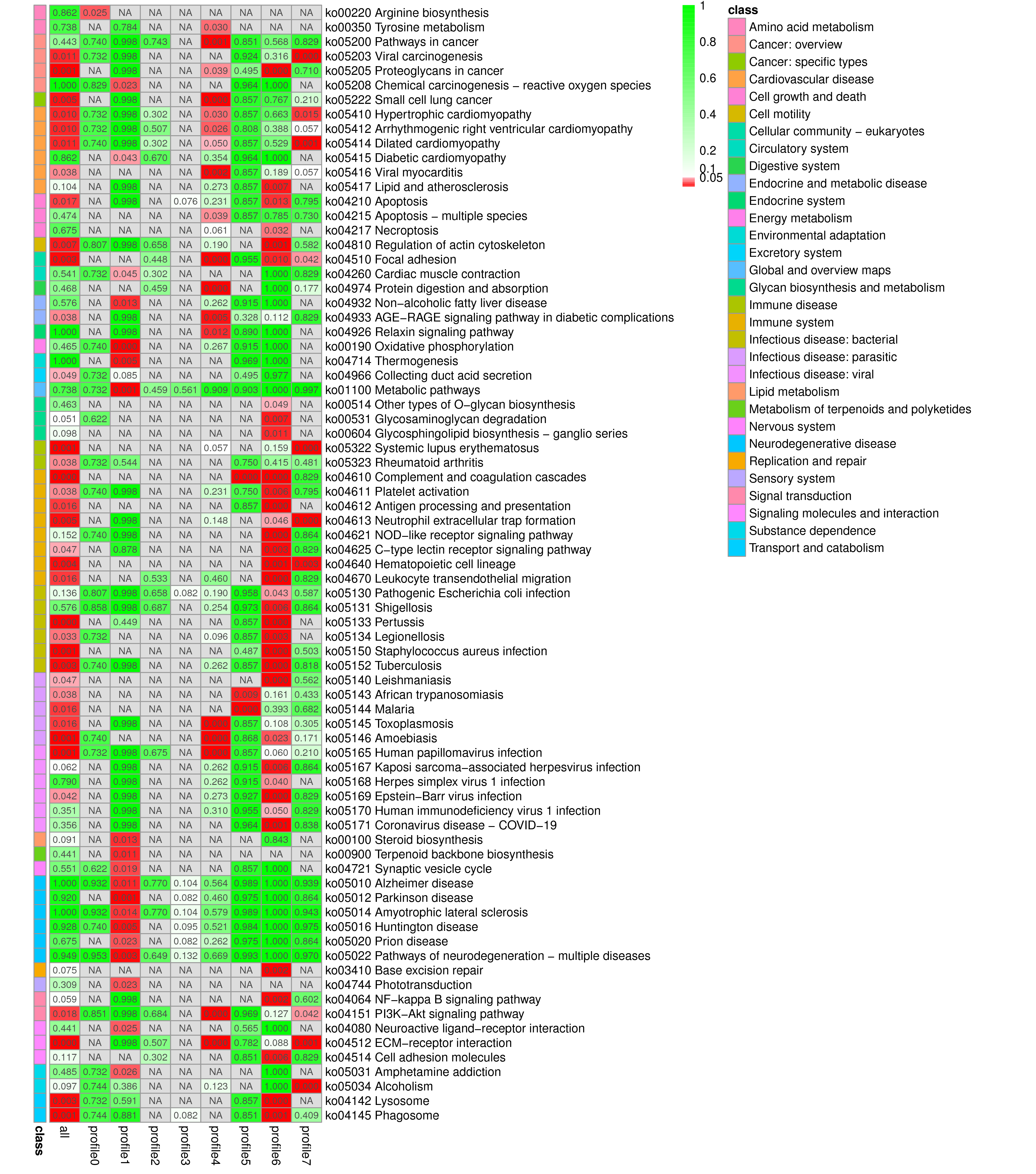 基迪奥生物 结题报告