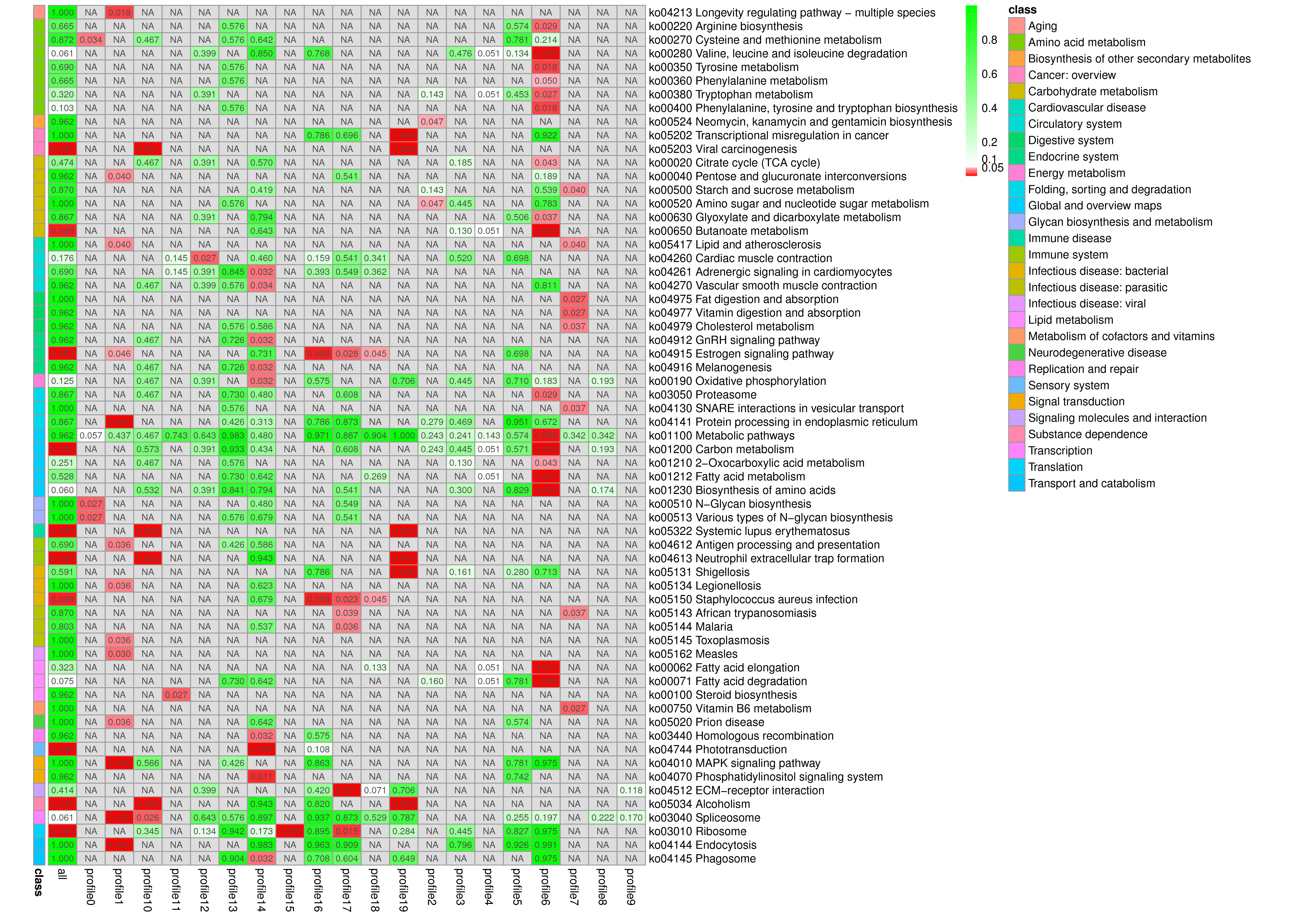 基迪奥生物 结题报告