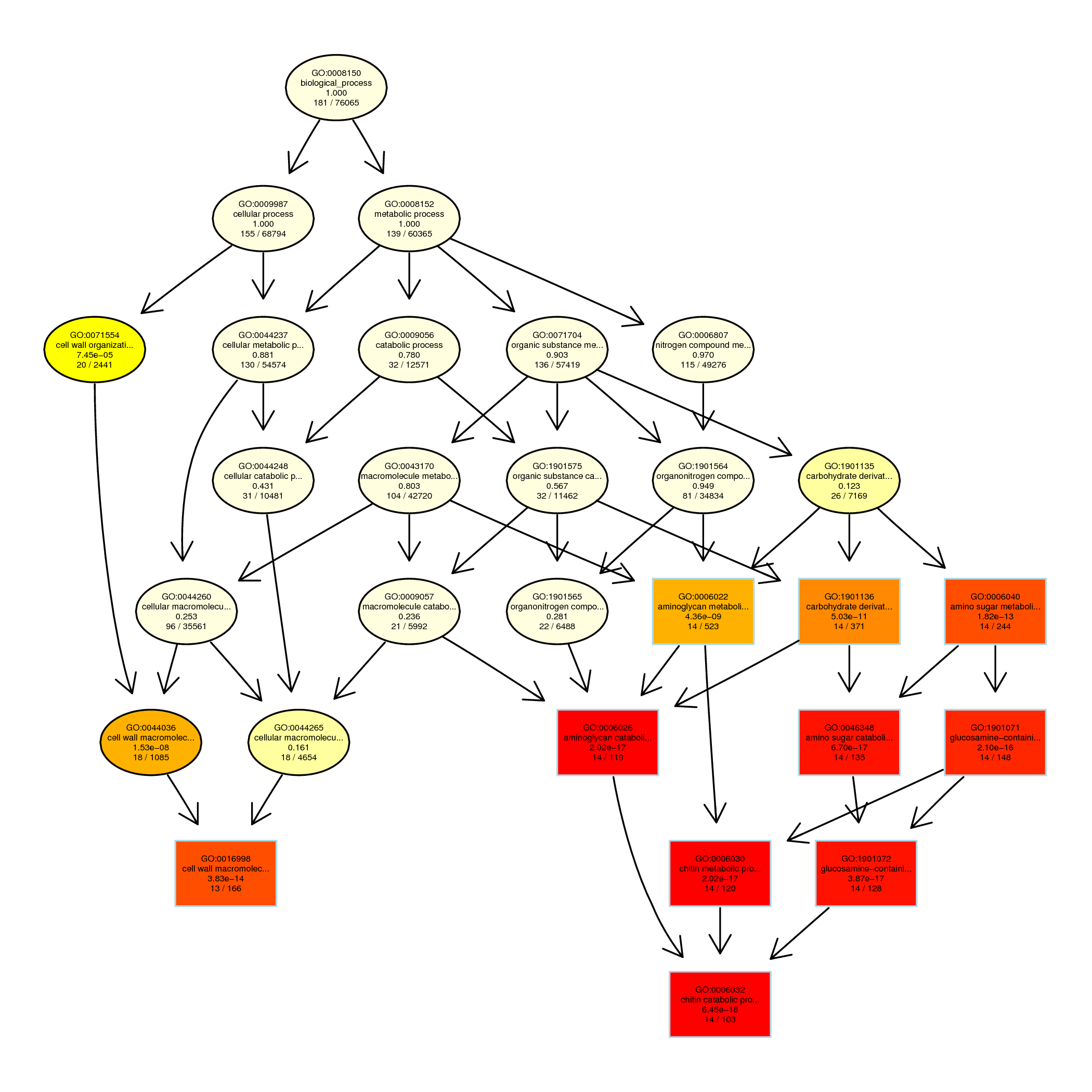 GO Enrichment Analysis