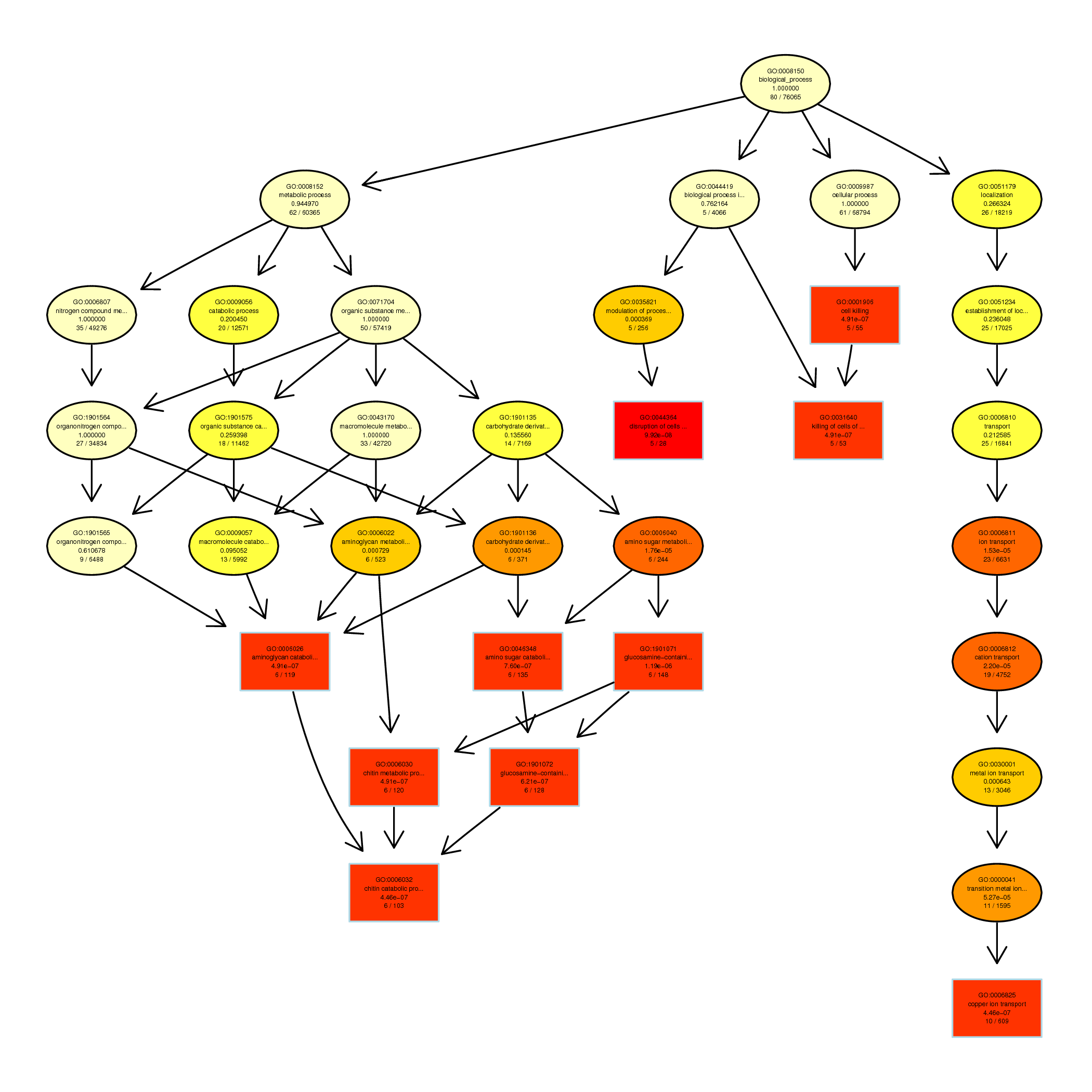 GO Enrichment Analysis