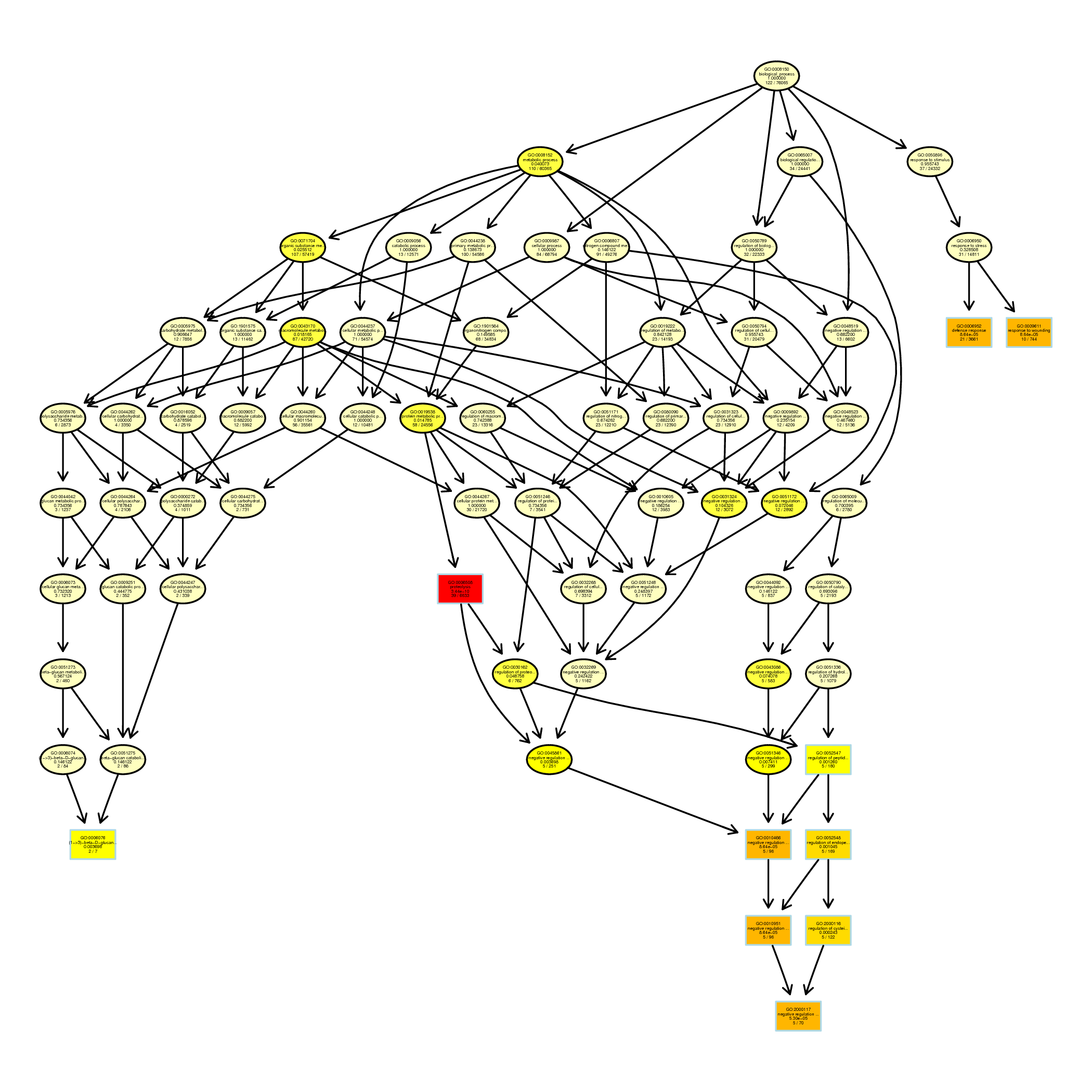 GO Enrichment Analysis