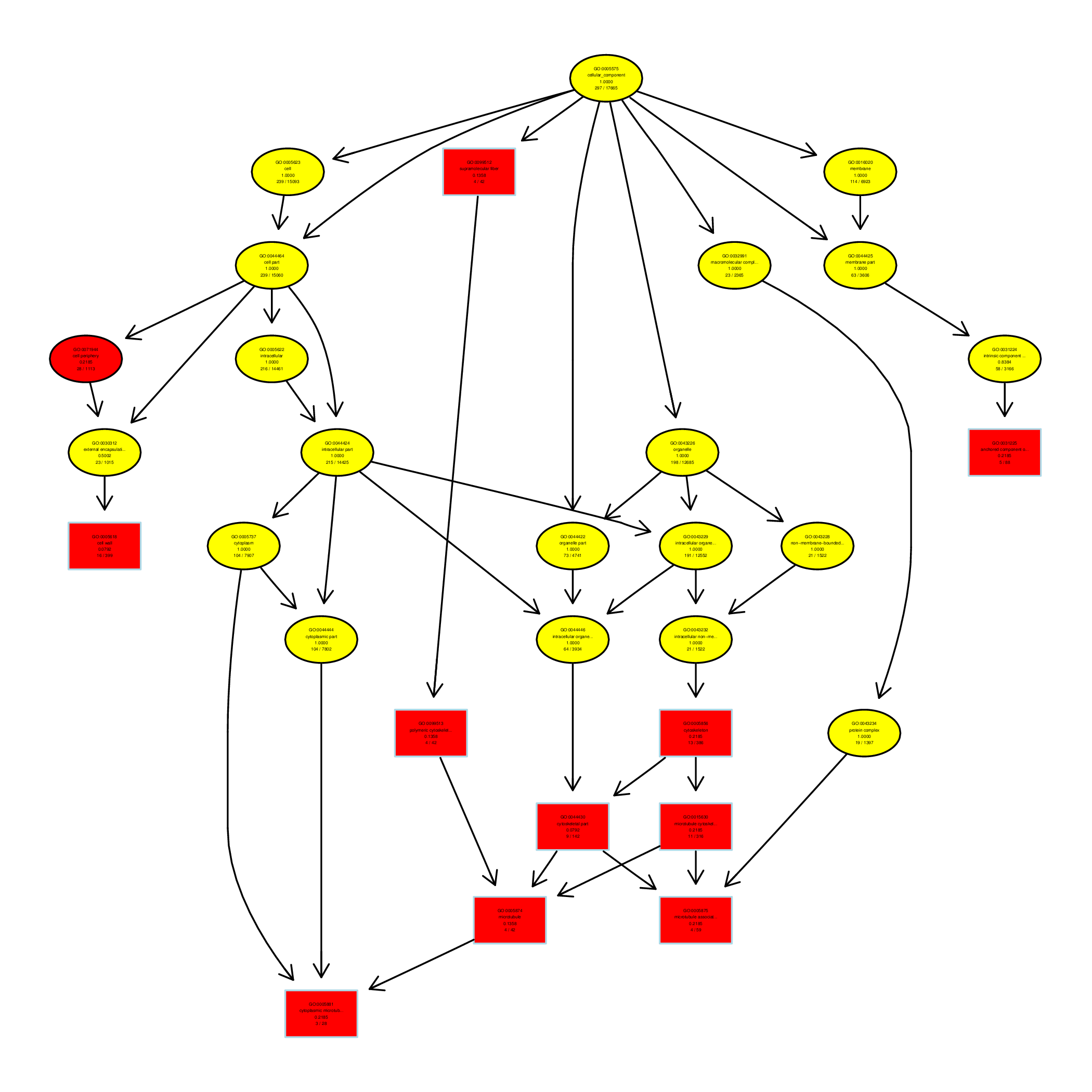 GO Enrichment Analysis