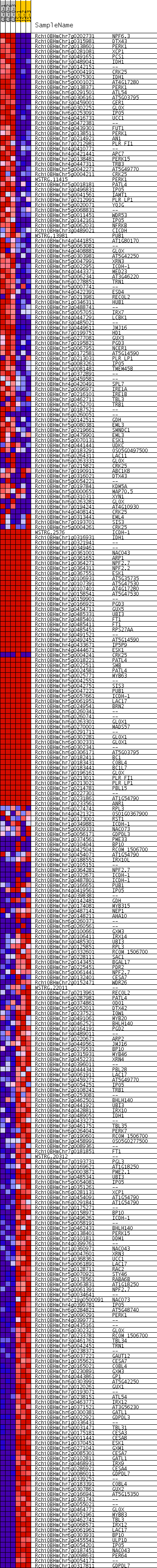 Details for gene set GO:0010383[GSEA]
