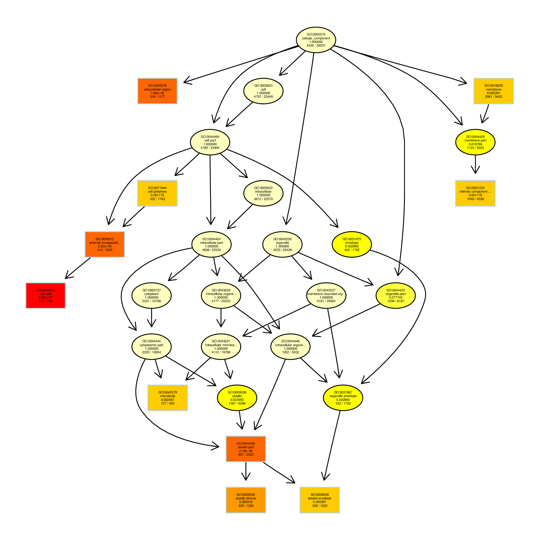 GO Enrichment Analysis