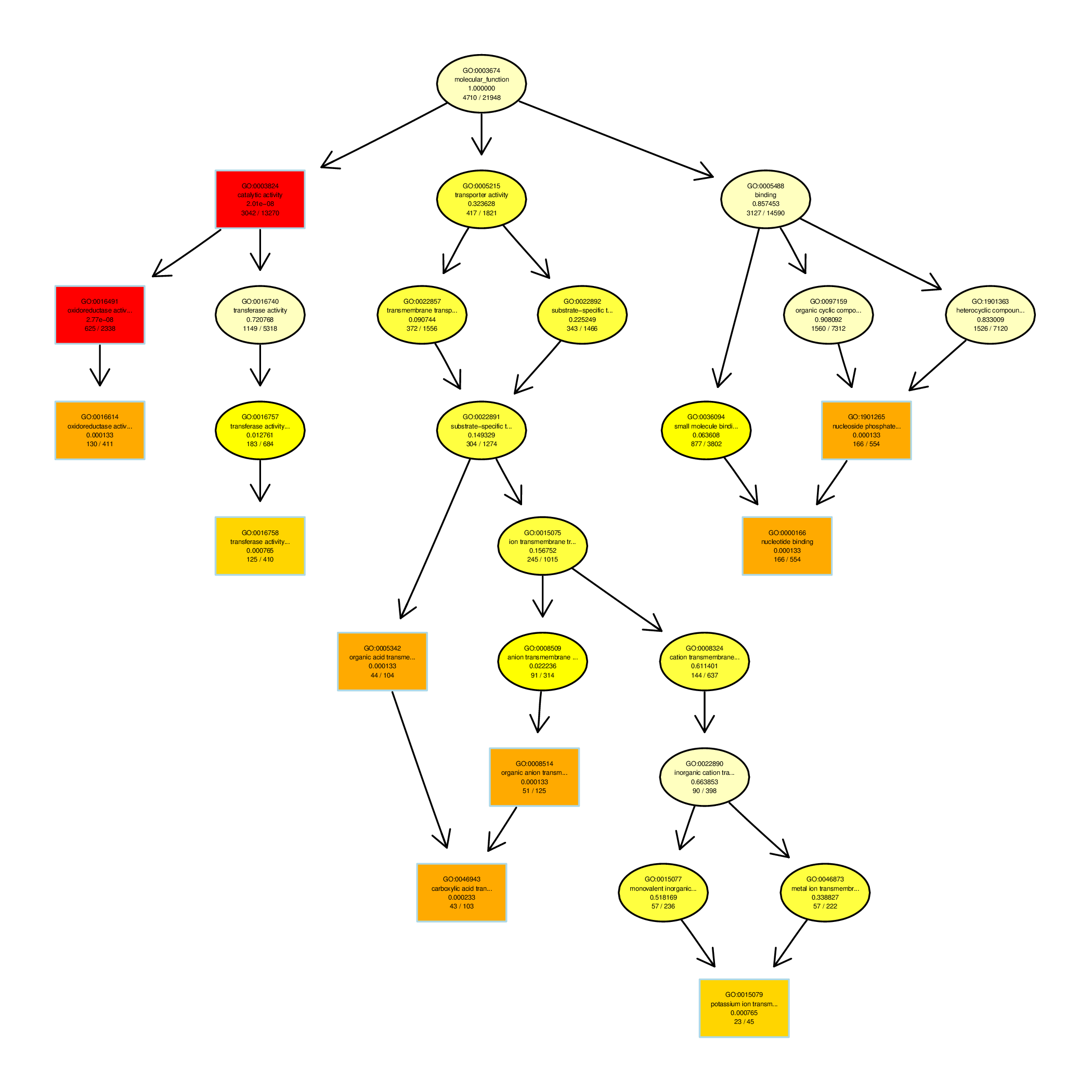 GO Enrichment Analysis