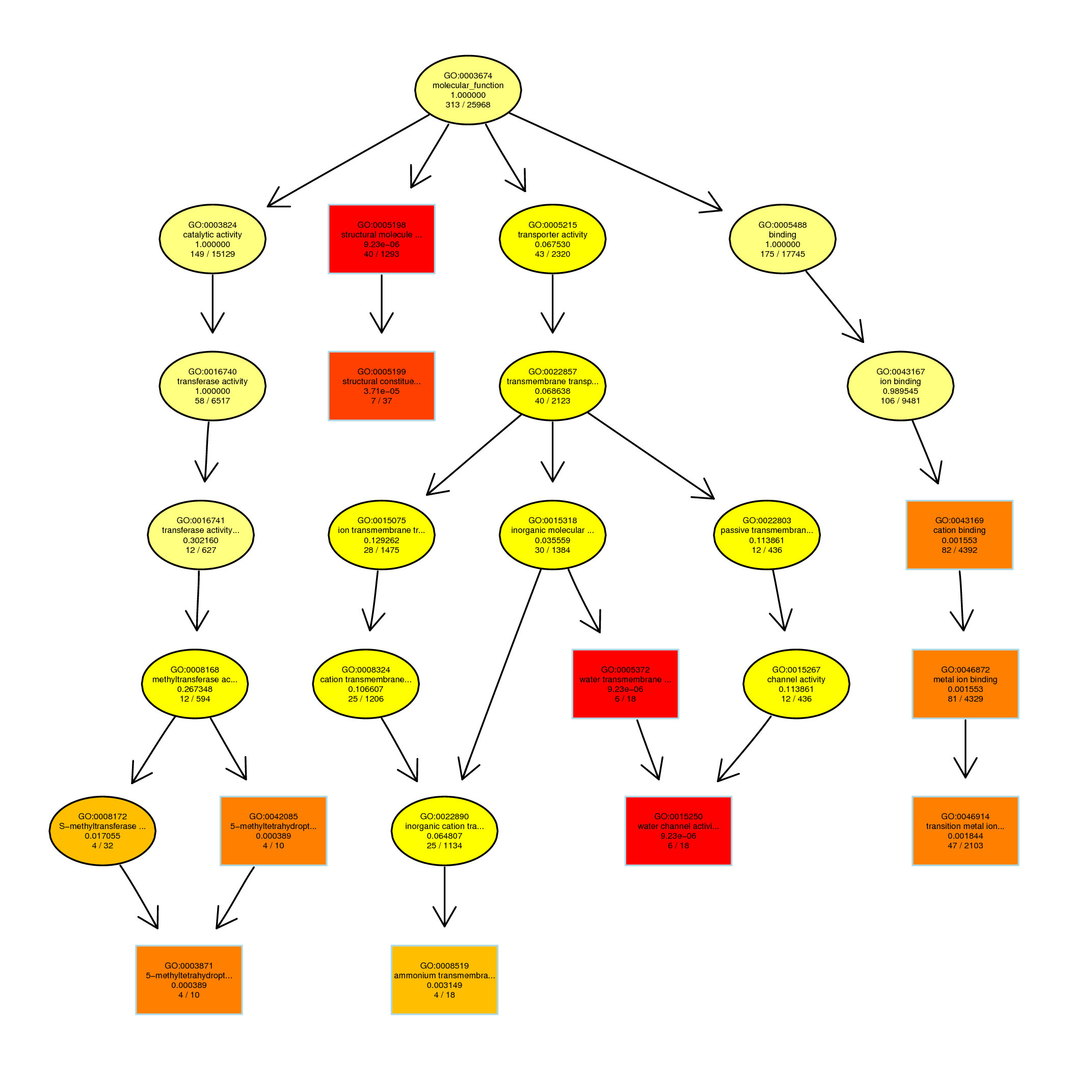 GO Enrichment Analysis