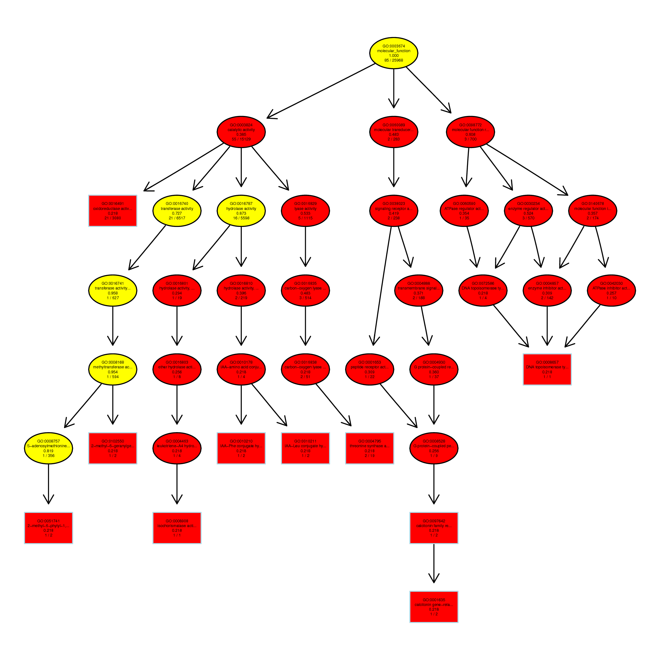GO Enrichment Analysis