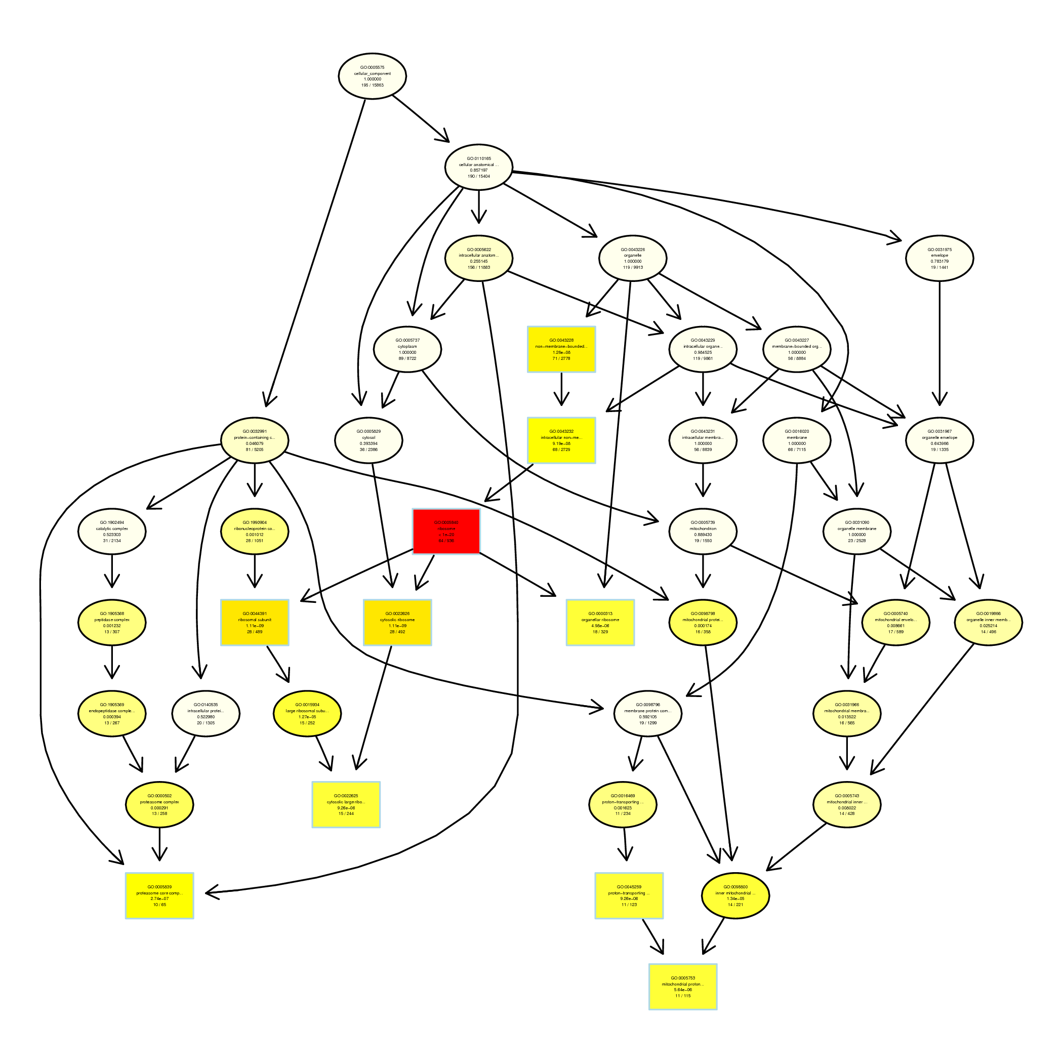 GO Enrichment Analysis