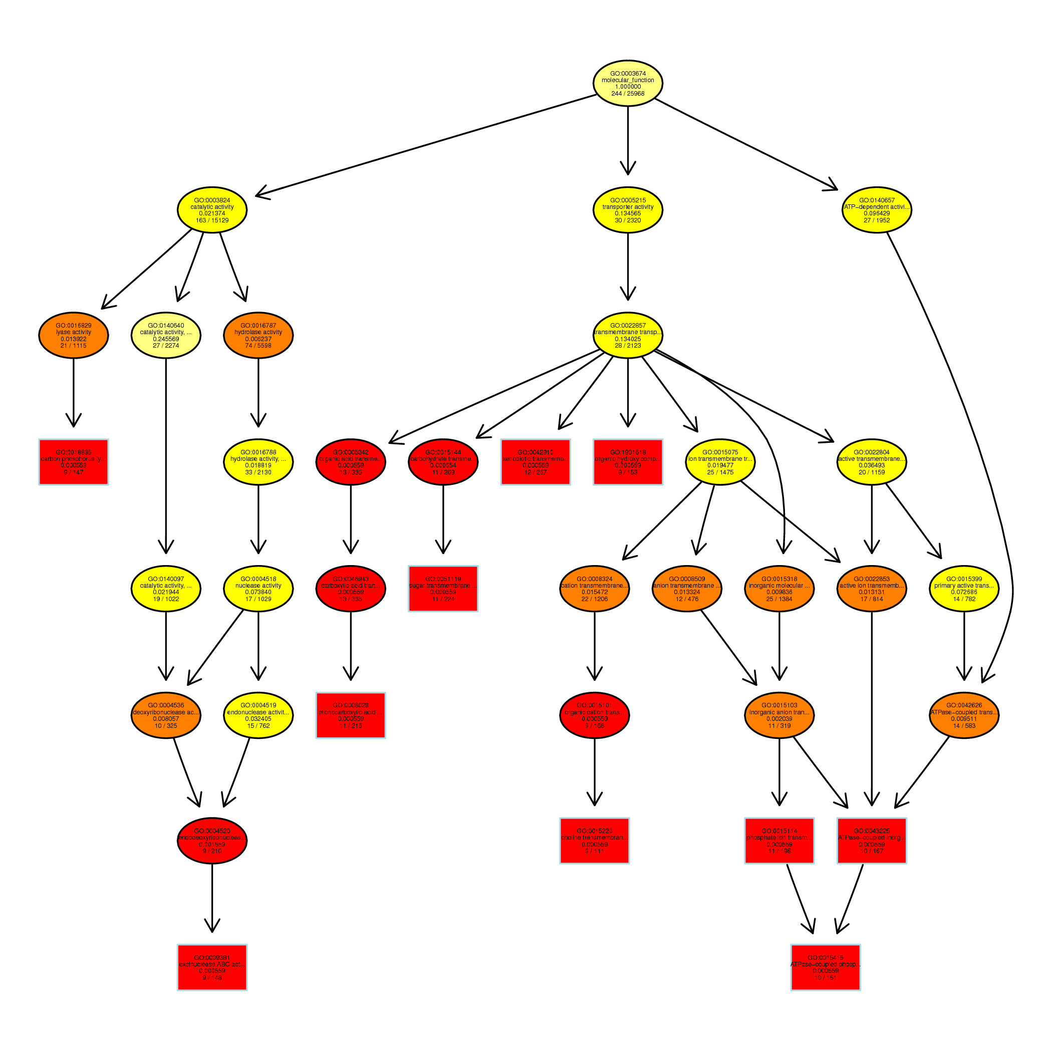 GO Enrichment Analysis