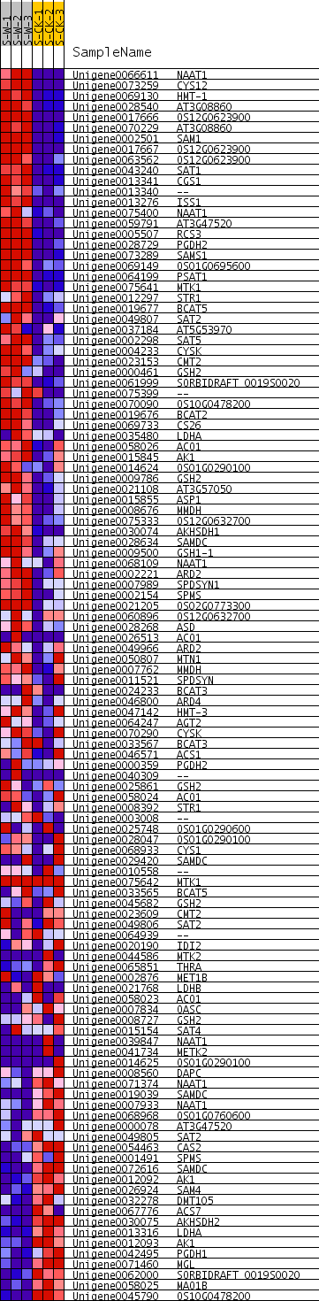 Details for gene set KO00270[GSEA]