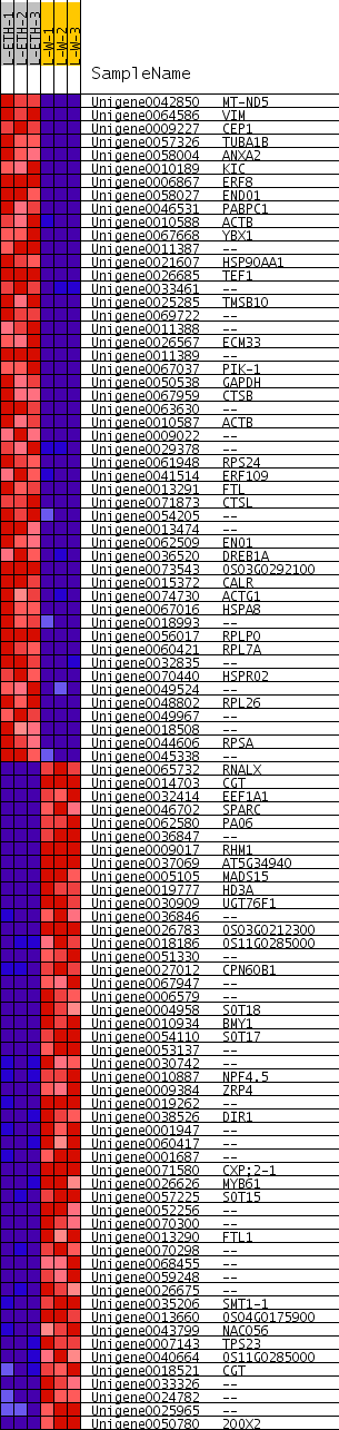 Heat map and correlation plot for all.all.cls#T3_L_versus_T2_L