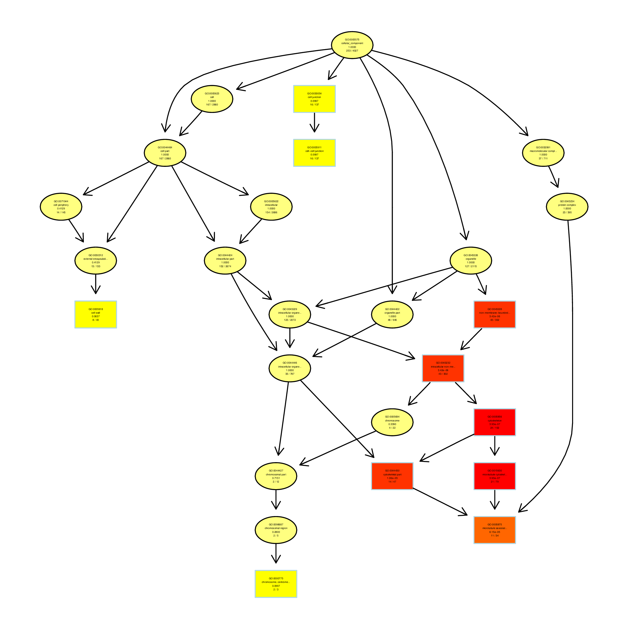 GO Enrichment Analysis