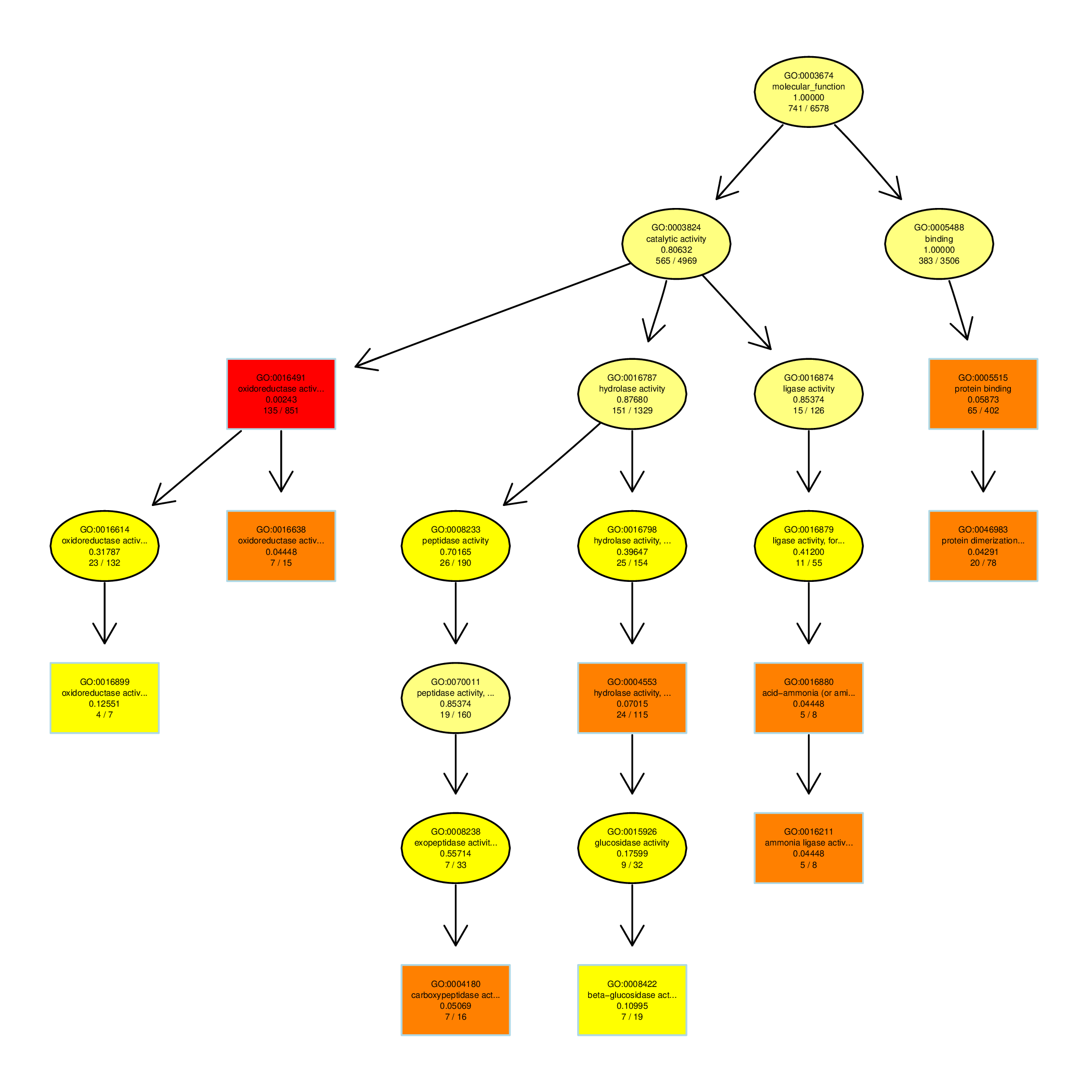 GO Enrichment Analysis