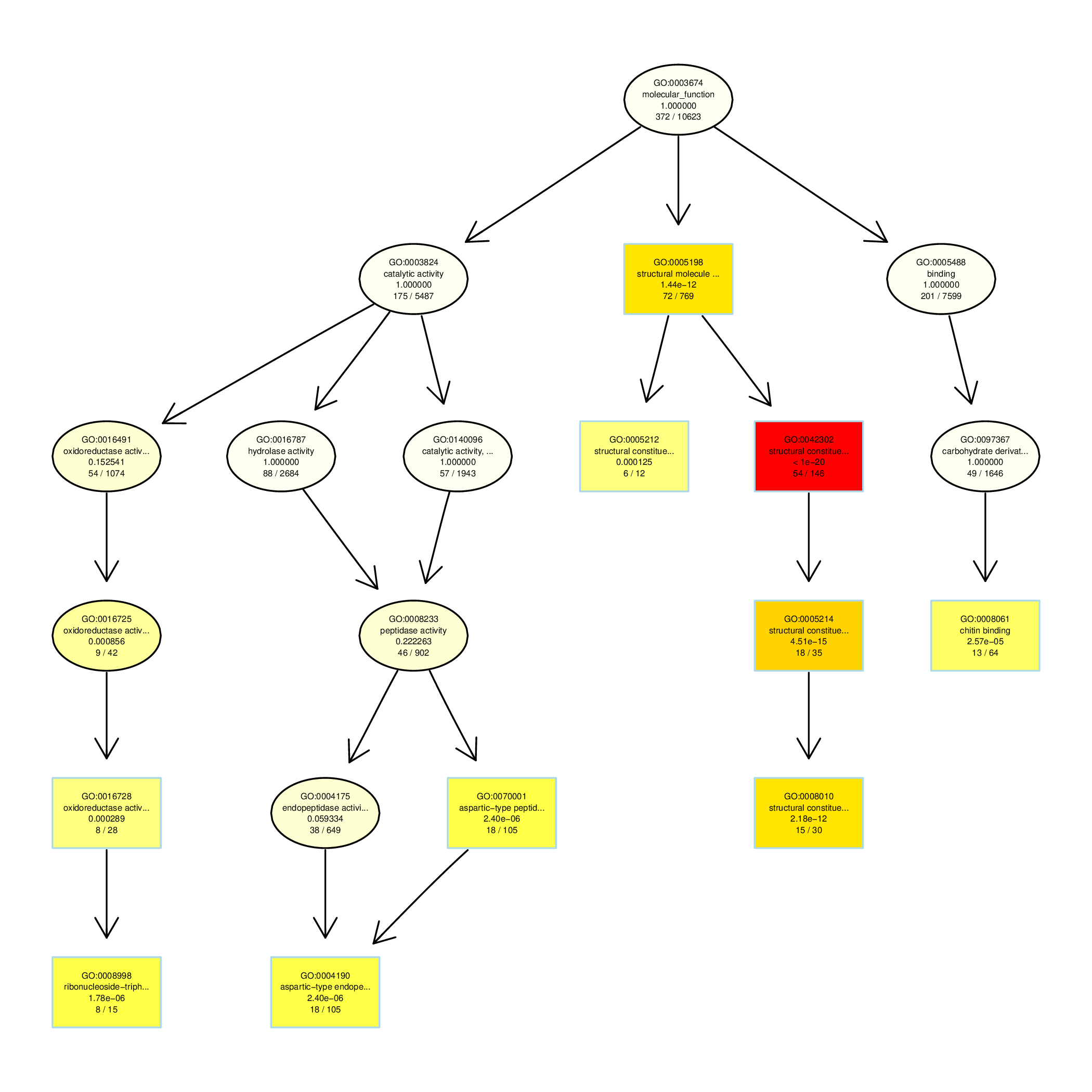 GO Enrichment Analysis