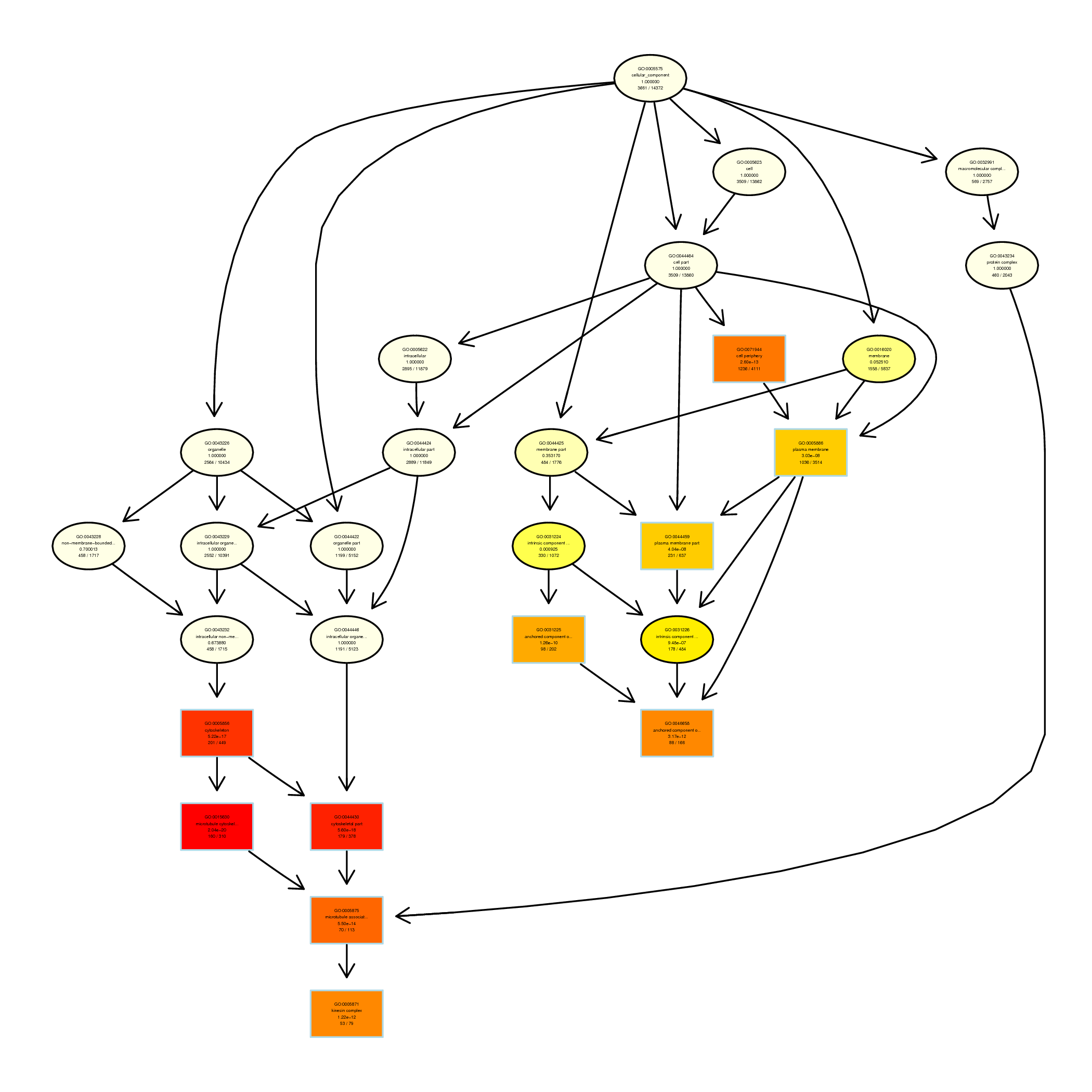GO Enrichment Analysis