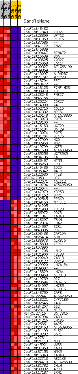 Heat map and correlation plot for all.all.cls#SD_12h_versus_SD_2h