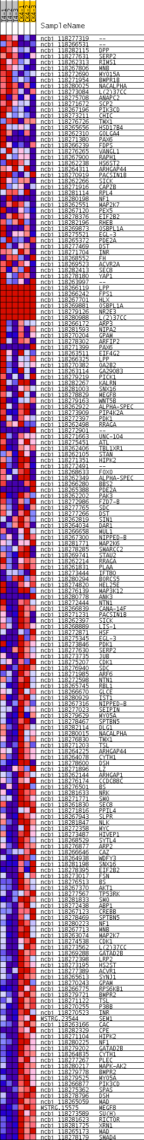 Details for gene set GO:0048639[GSEA]