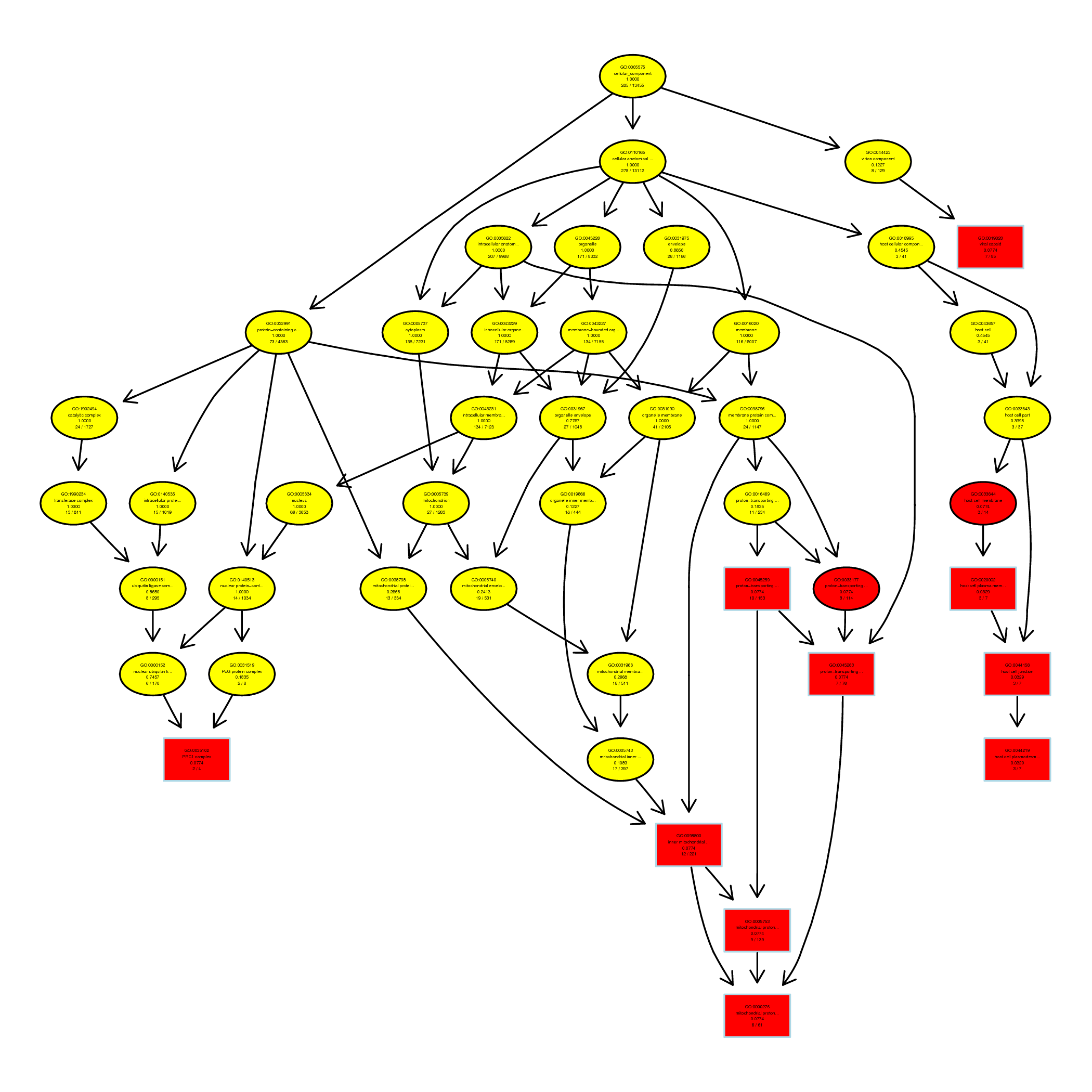 GO Enrichment Analysis