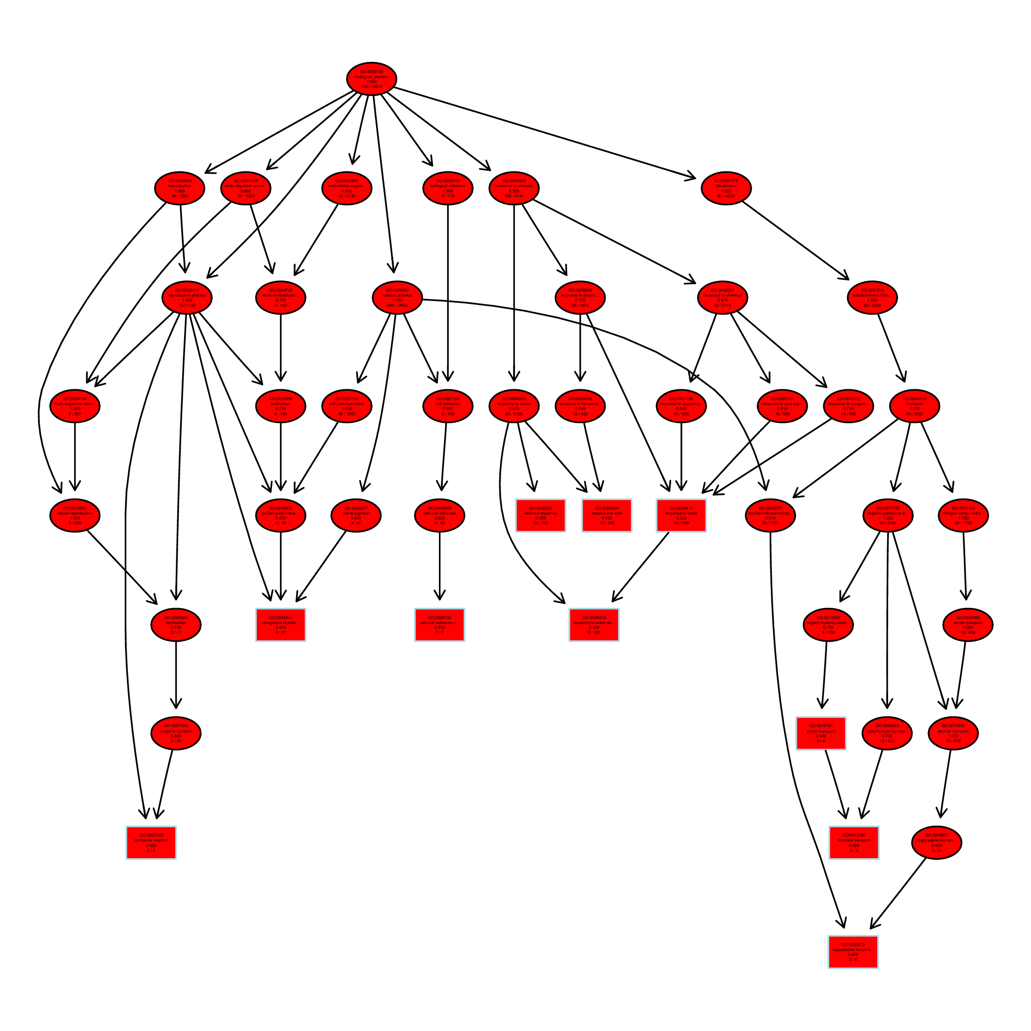 GO Enrichment Analysis