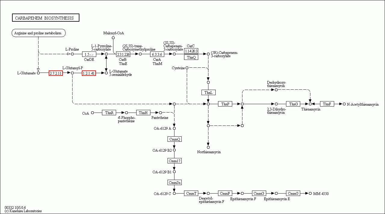 KEGG PATHWAY: Carbapenem biosynthesis - Reference pathway