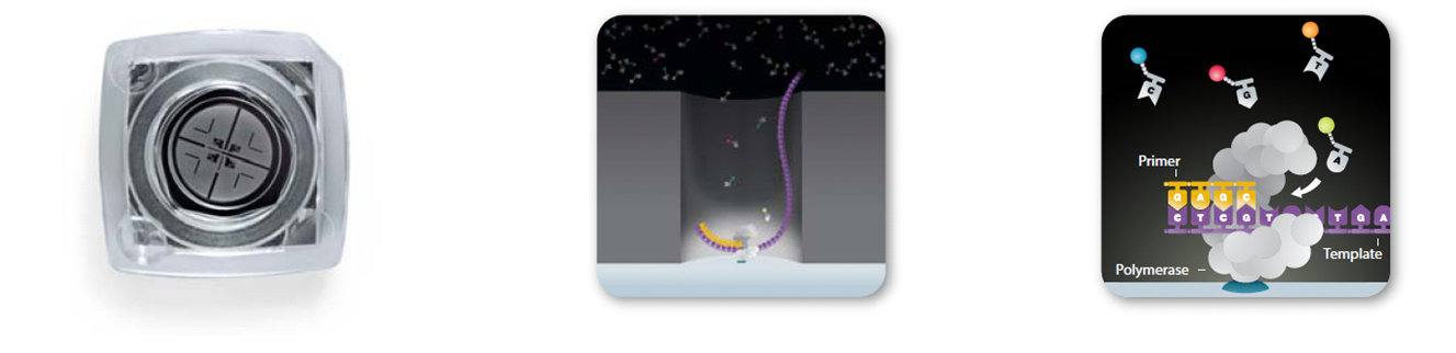 基迪奥生物 结题报告