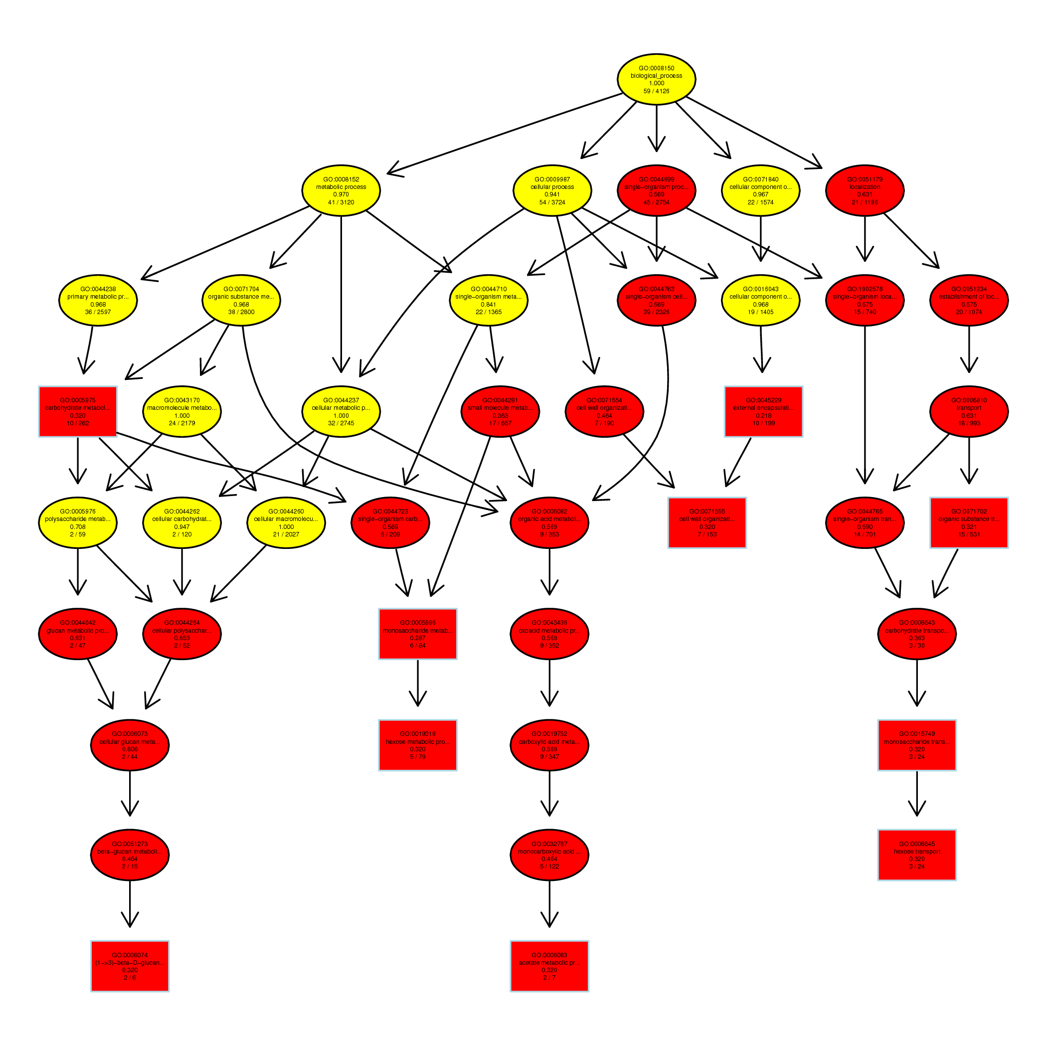 GO Enrichment Analysis