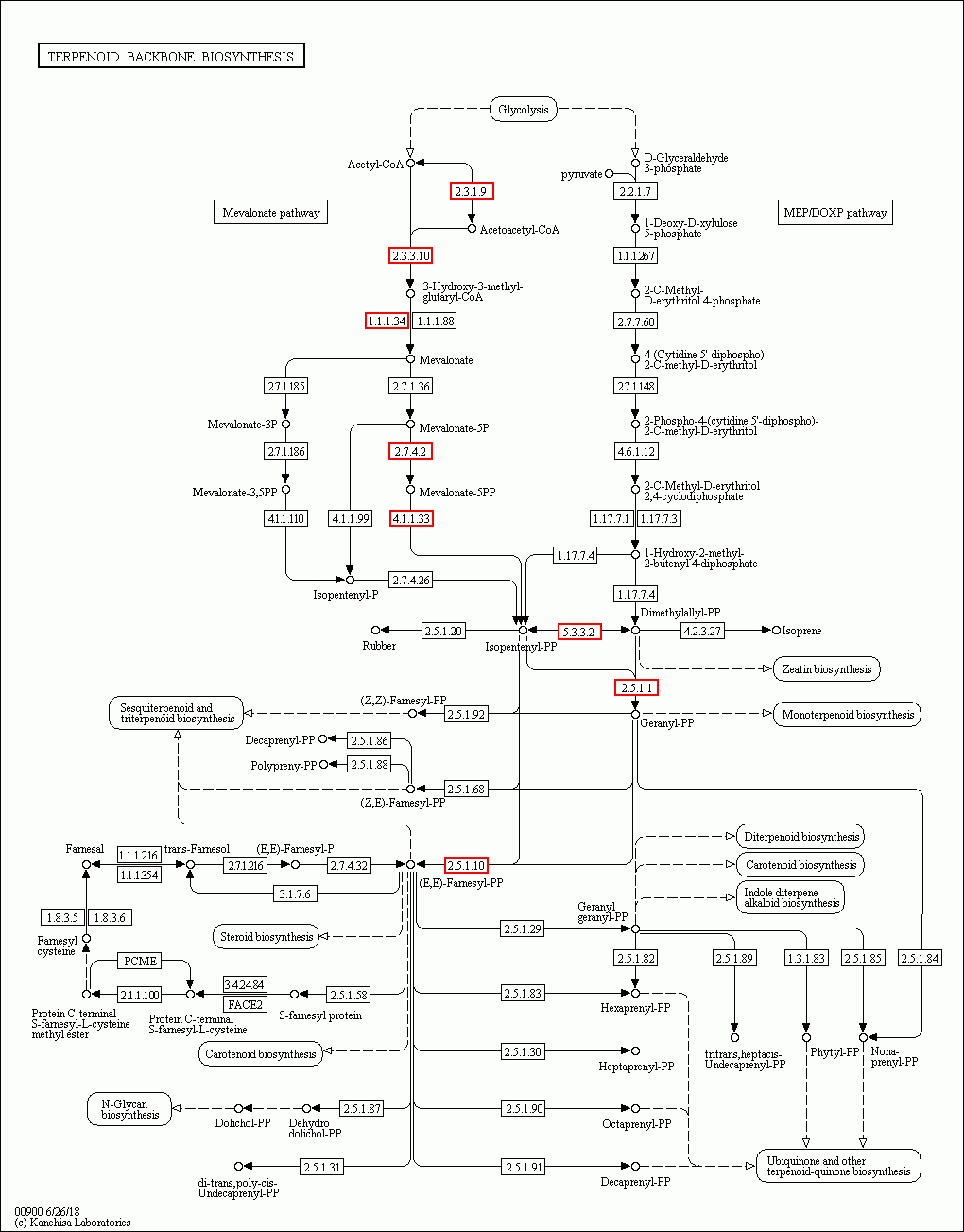 KEGG PATHWAY: Terpenoid backbone biosynthesis - Reference pathway