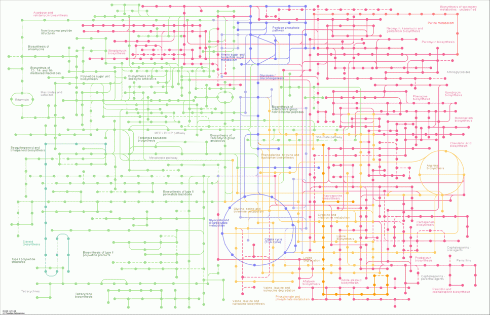 KEGG PATHWAY: Biosynthesis of antibiotics - Reference pathway