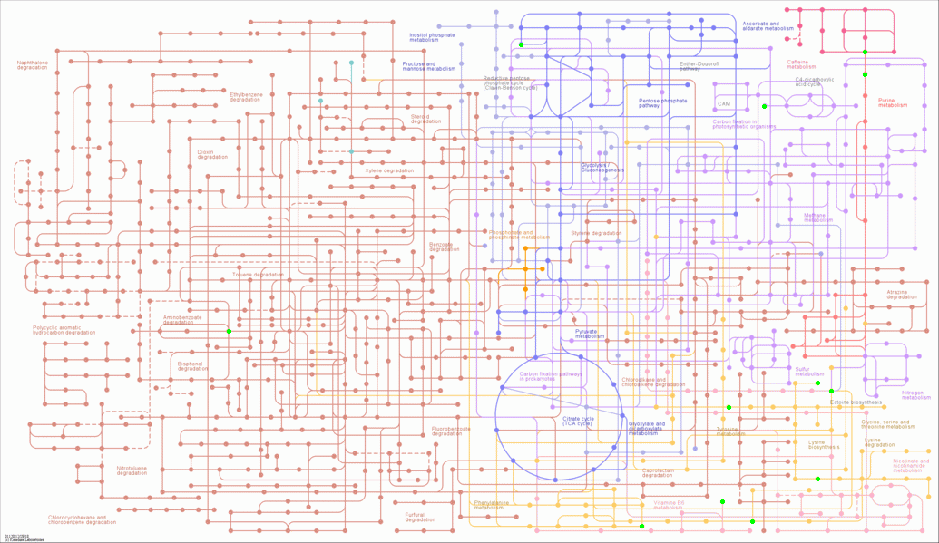 KEGG PATHWAY: Microbial metabolism in diverse environments - Reference ...