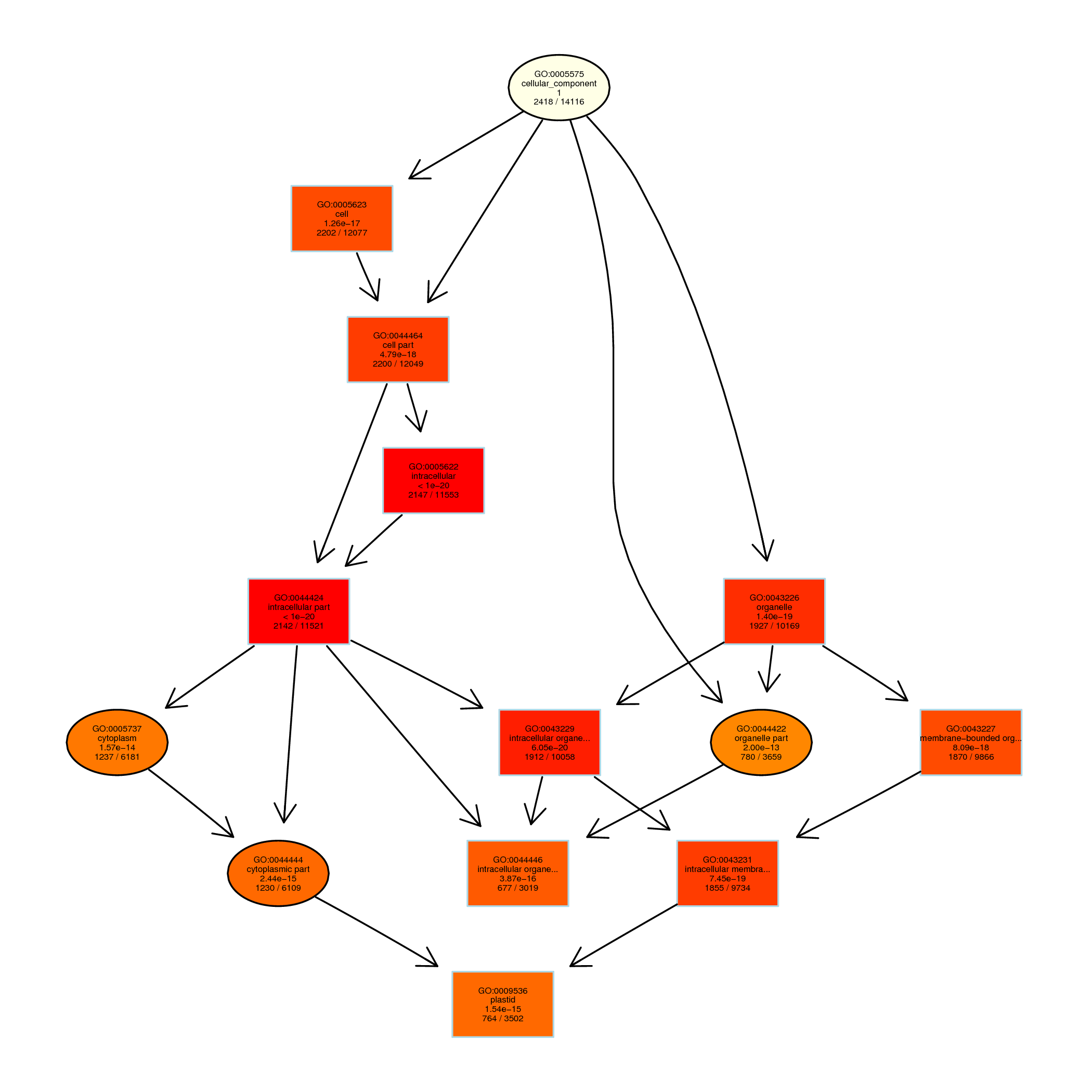 GO Enrichment Analysis