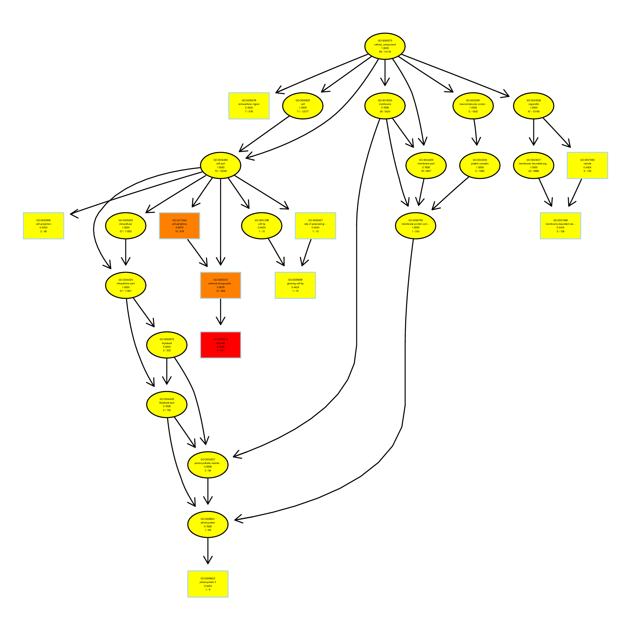GO Enrichment Analysis