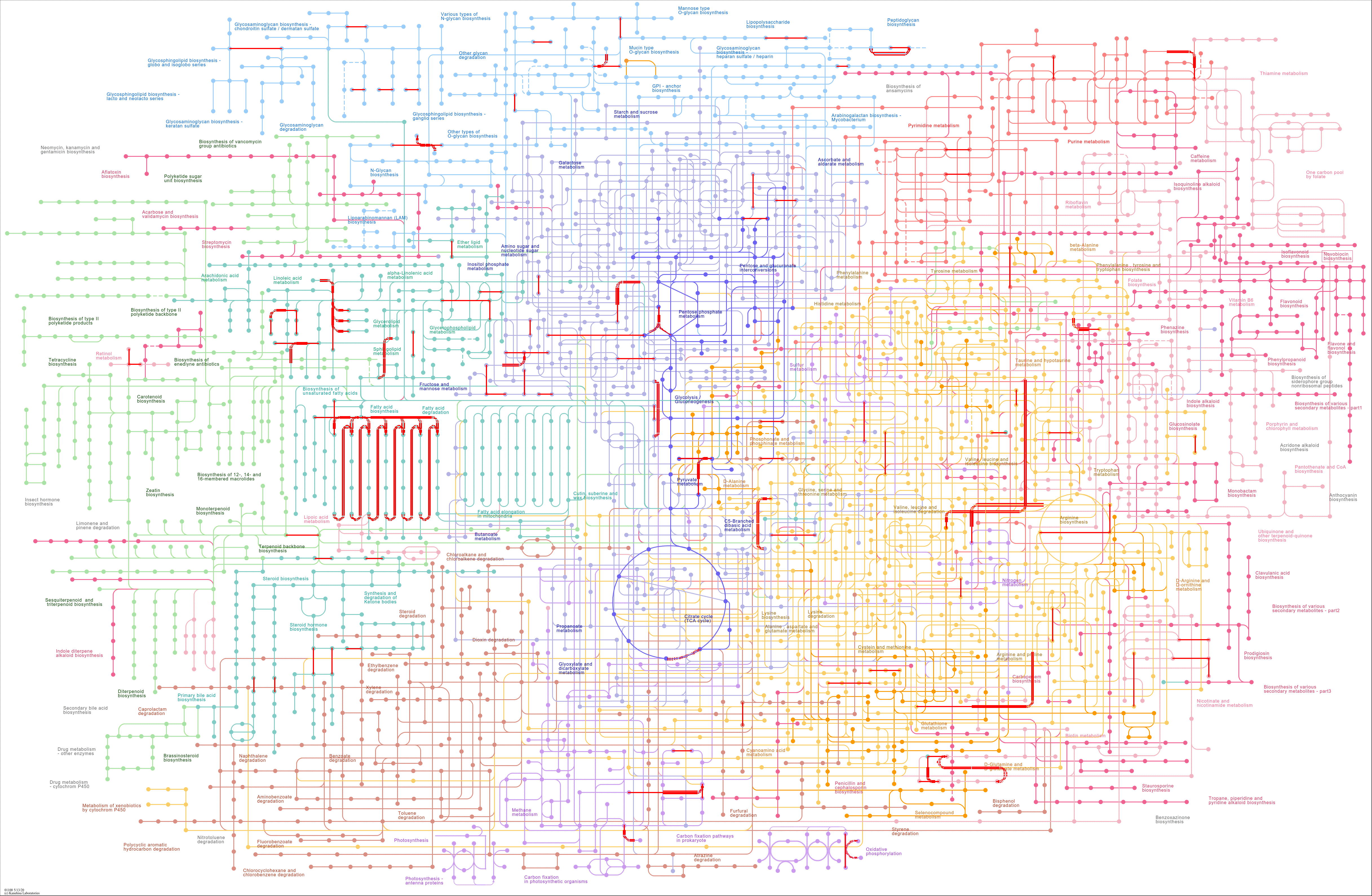 KEGG PATHWAY: Metabolic pathways - Reference pathway