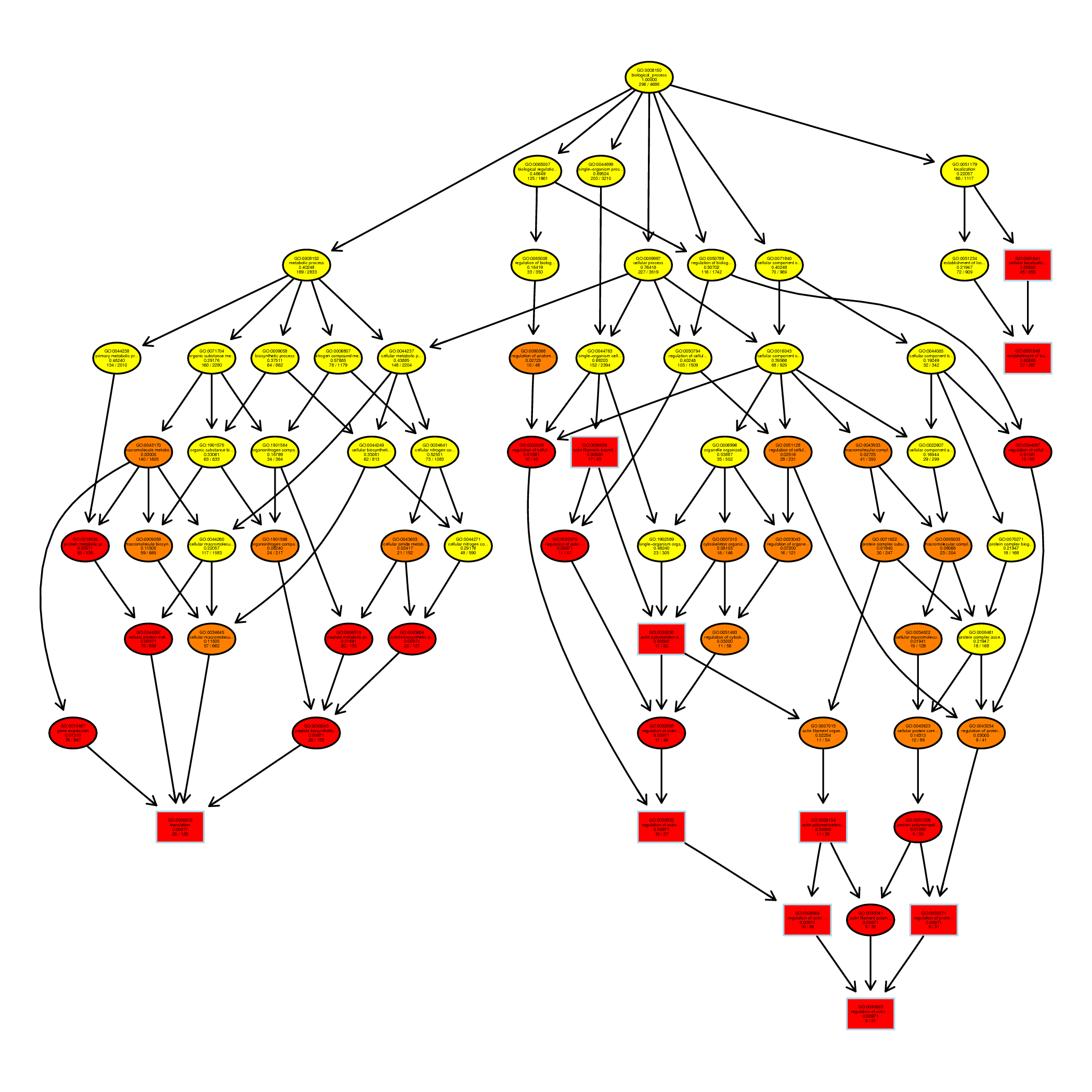 GO Enrichment Analysis