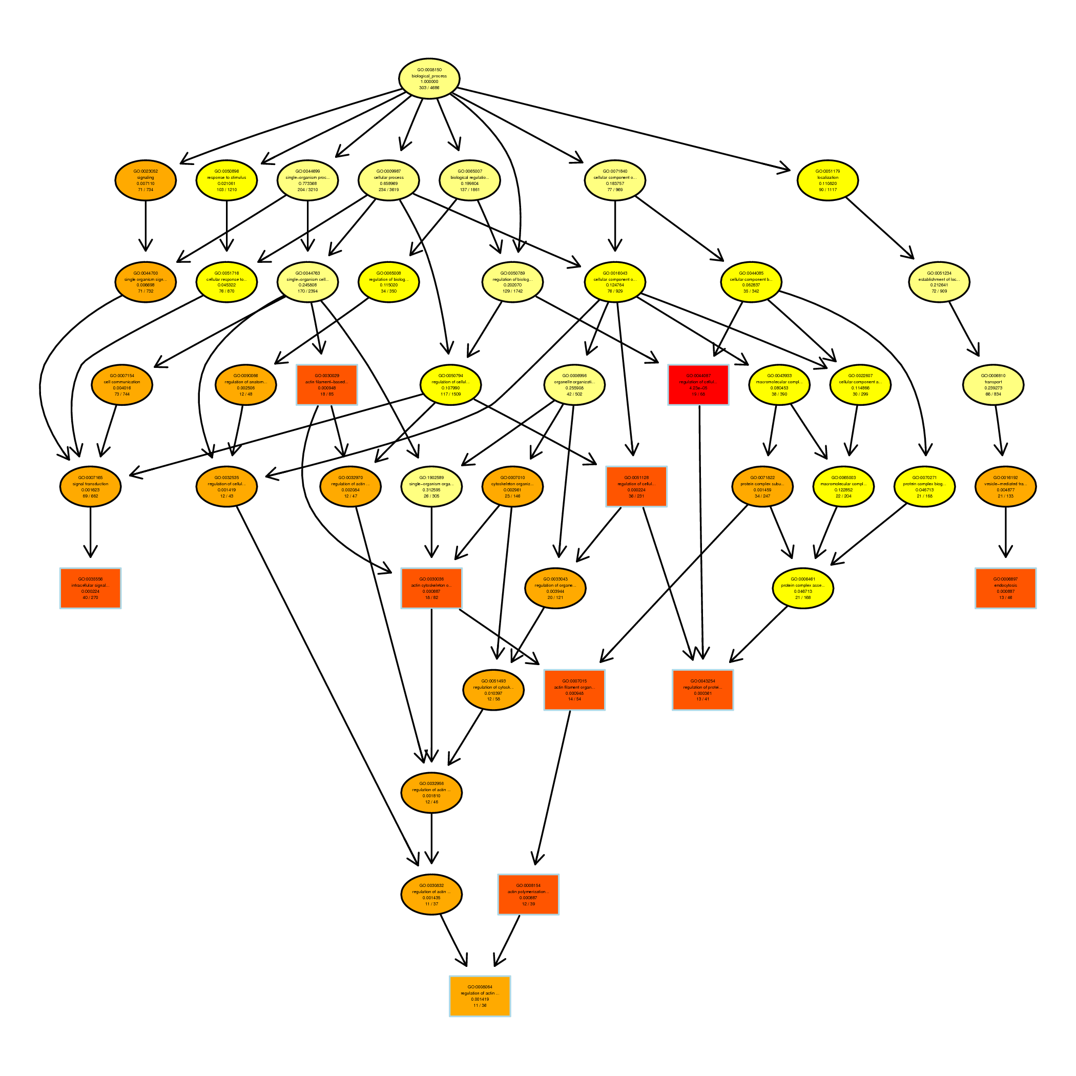 GO Enrichment Analysis