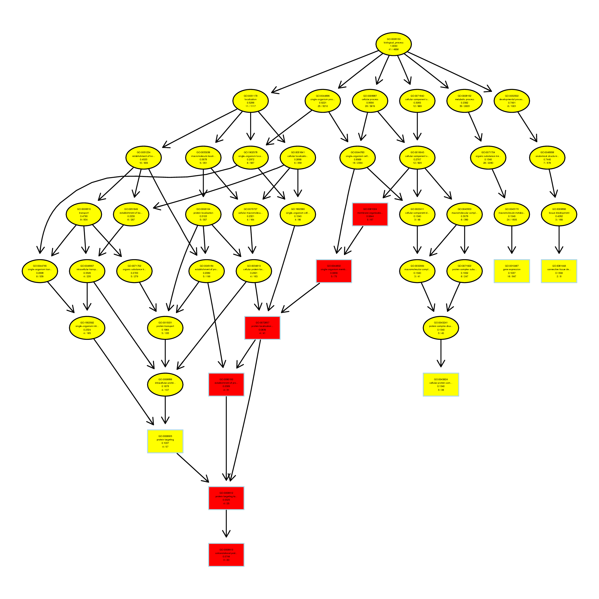 GO Enrichment Analysis