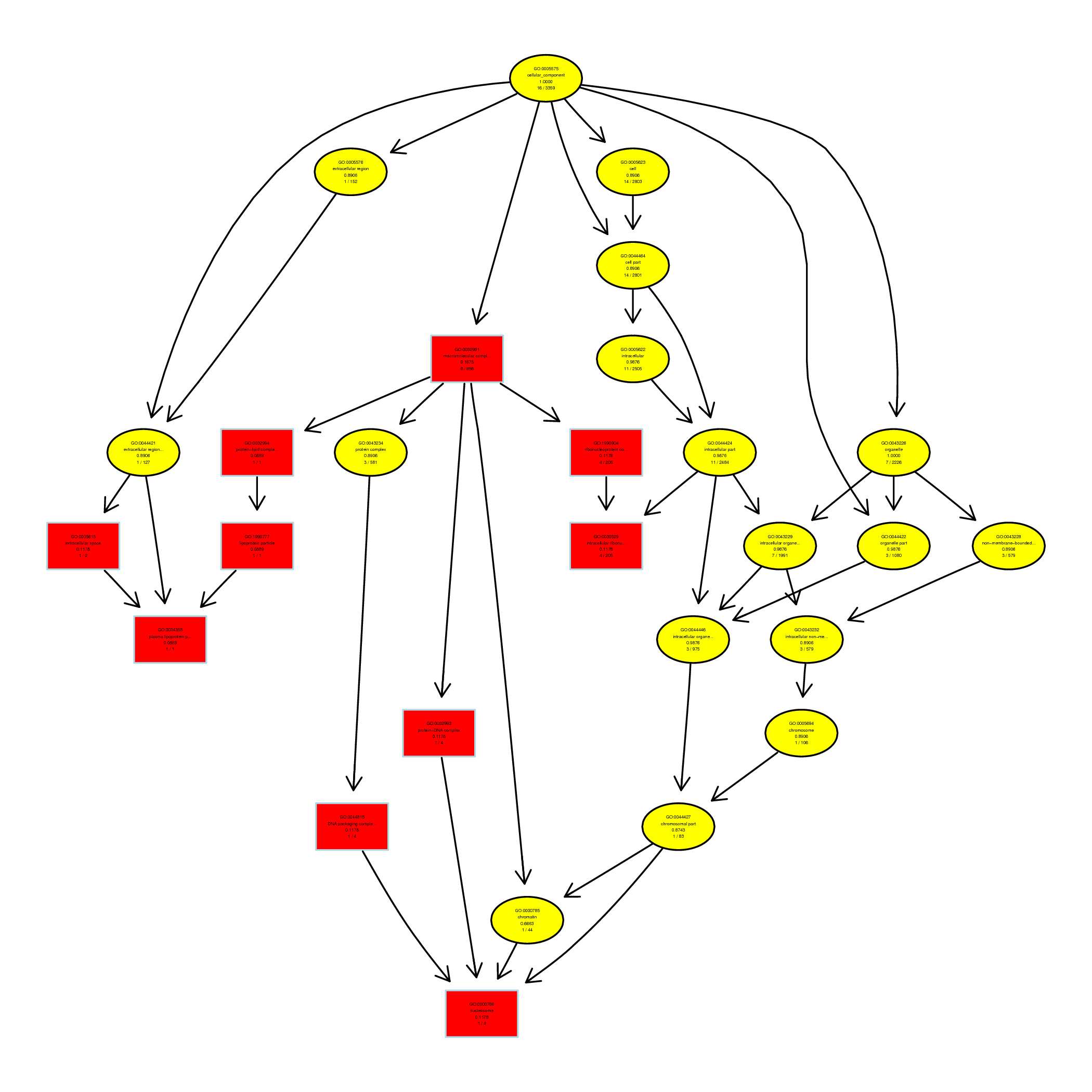 GO Enrichment Analysis