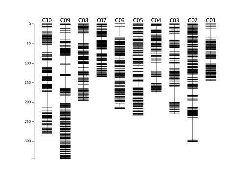 Omicsmart-账户总览