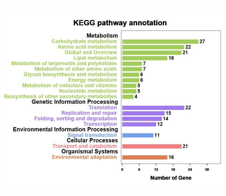 Omicsmart-账户总览